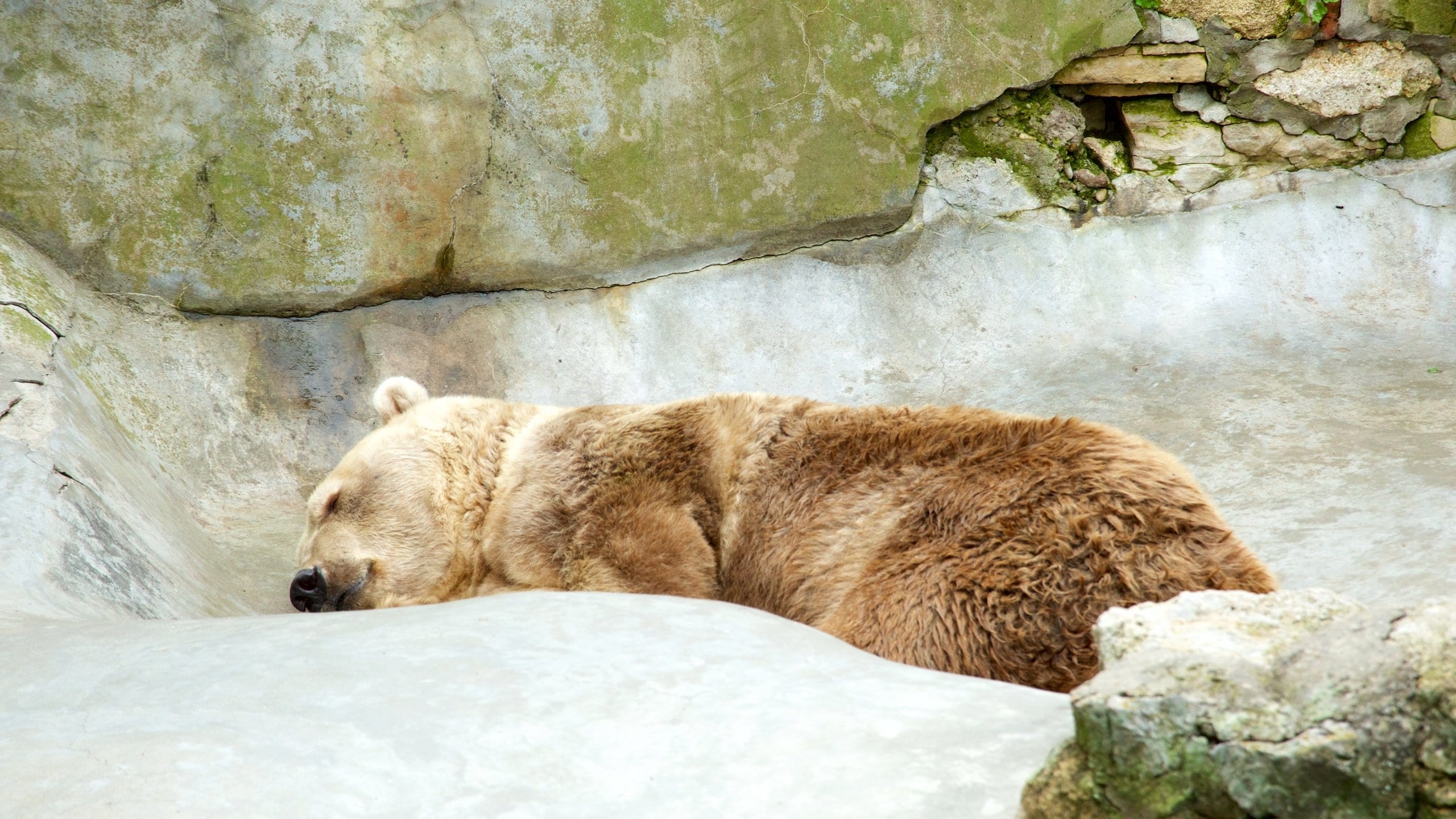 Belgrade Zoo Tours - Book Now | Expedia