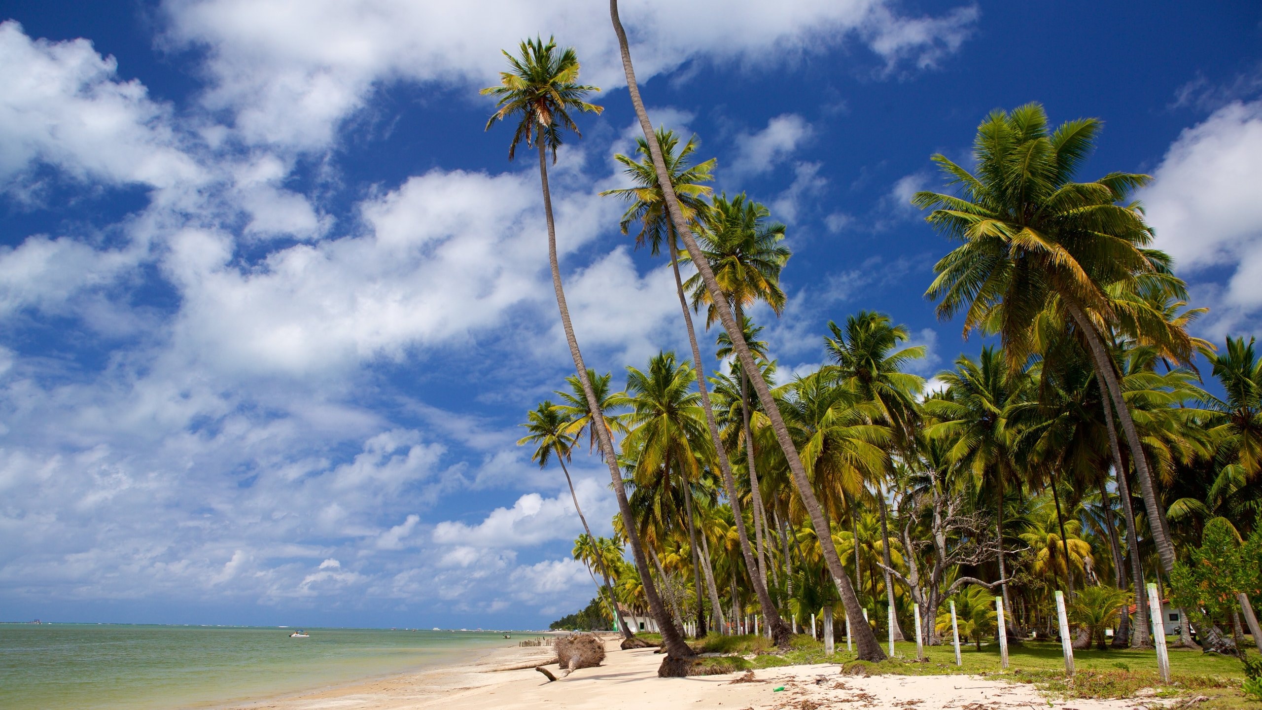 Pernambuco Brazil