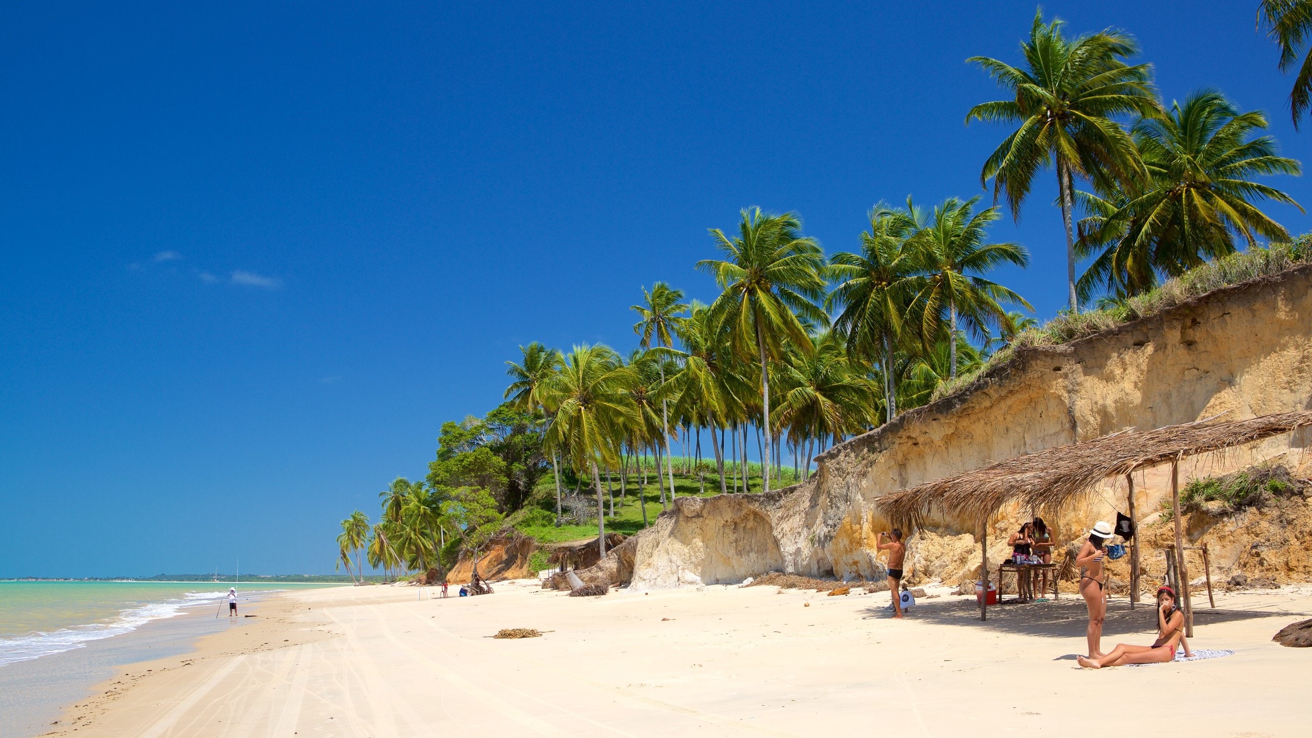 Maceió turismo: Qué visitar en Maceió, Alagoas, 2024 | Viaja con Expedia