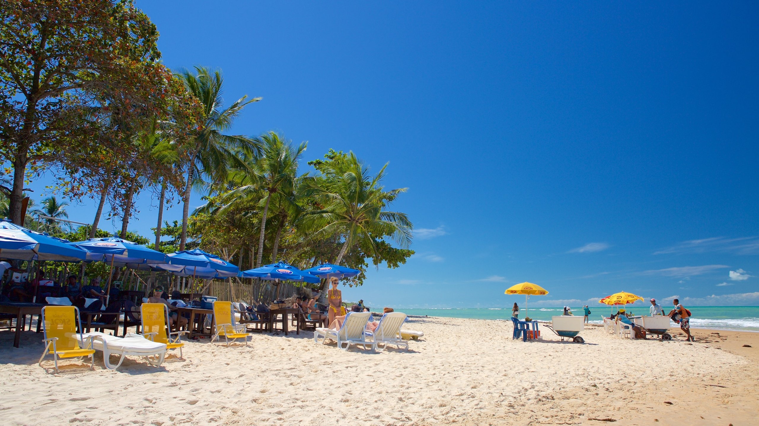 Pitinga Beach Tours - Book Now | Expedia