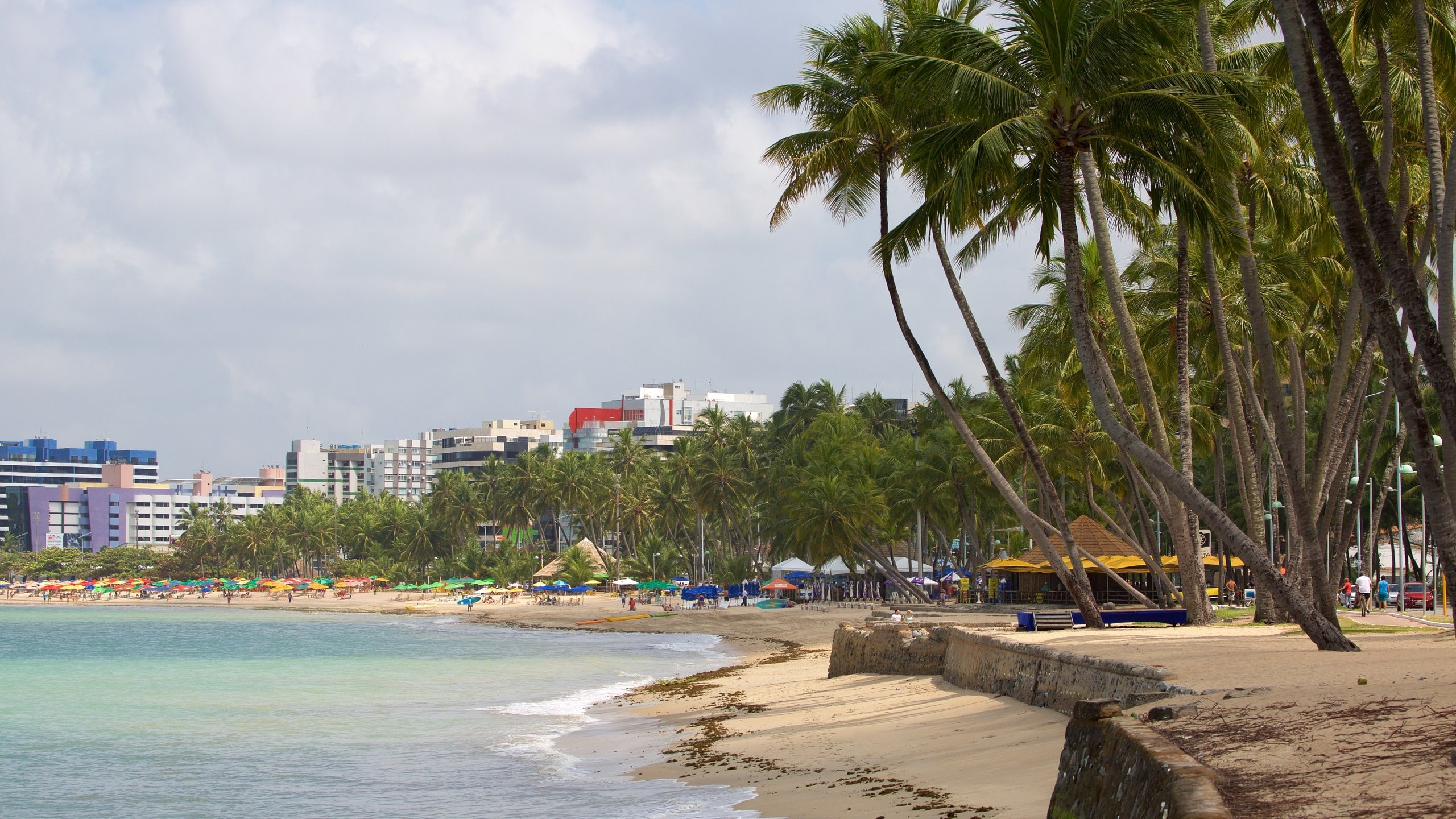 Visita Playa de Ponta Verde en Ponta Verde - Tours & Actividades ...