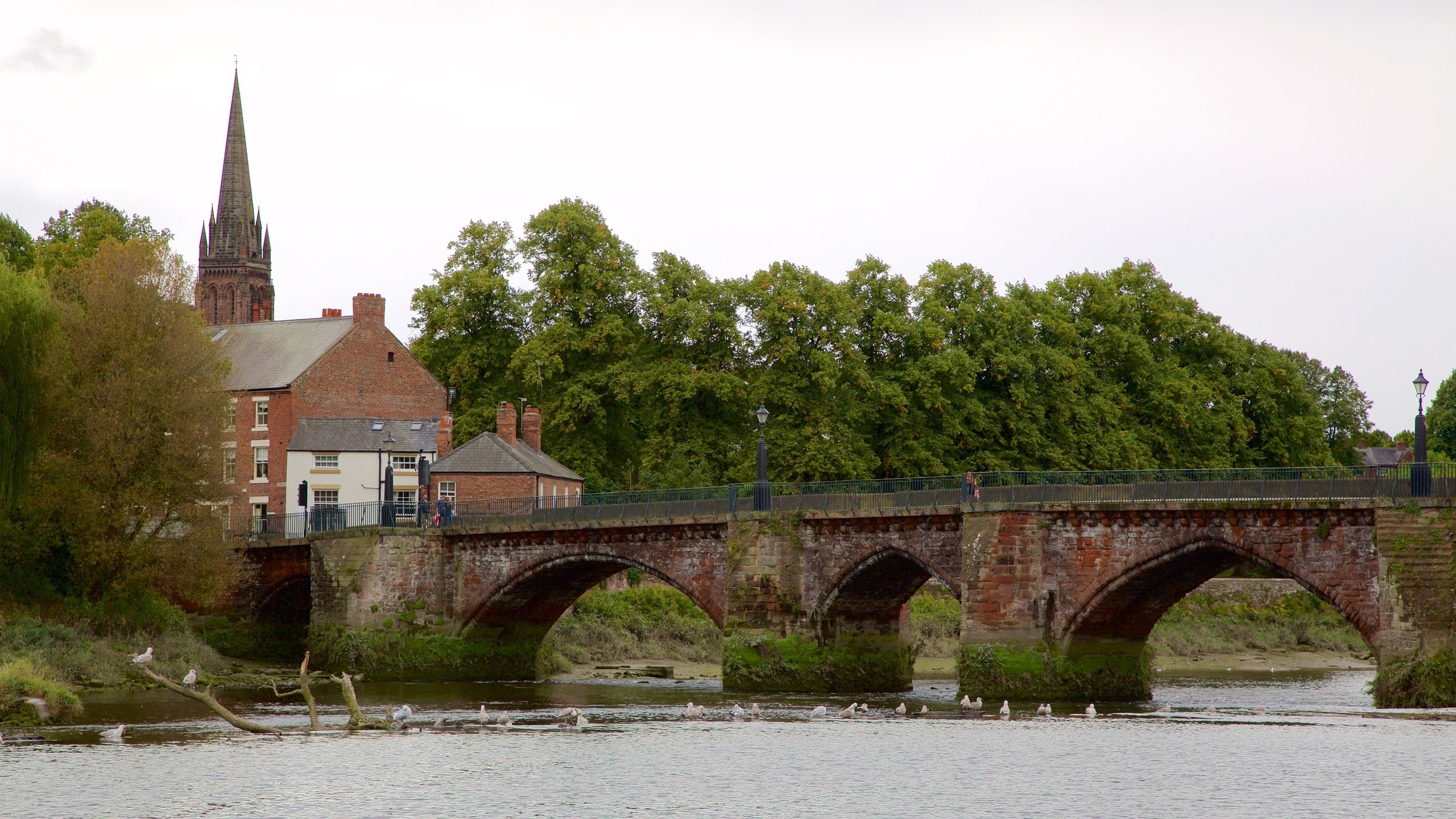 Old Dee Bridge Tours - Book Now | Expedia