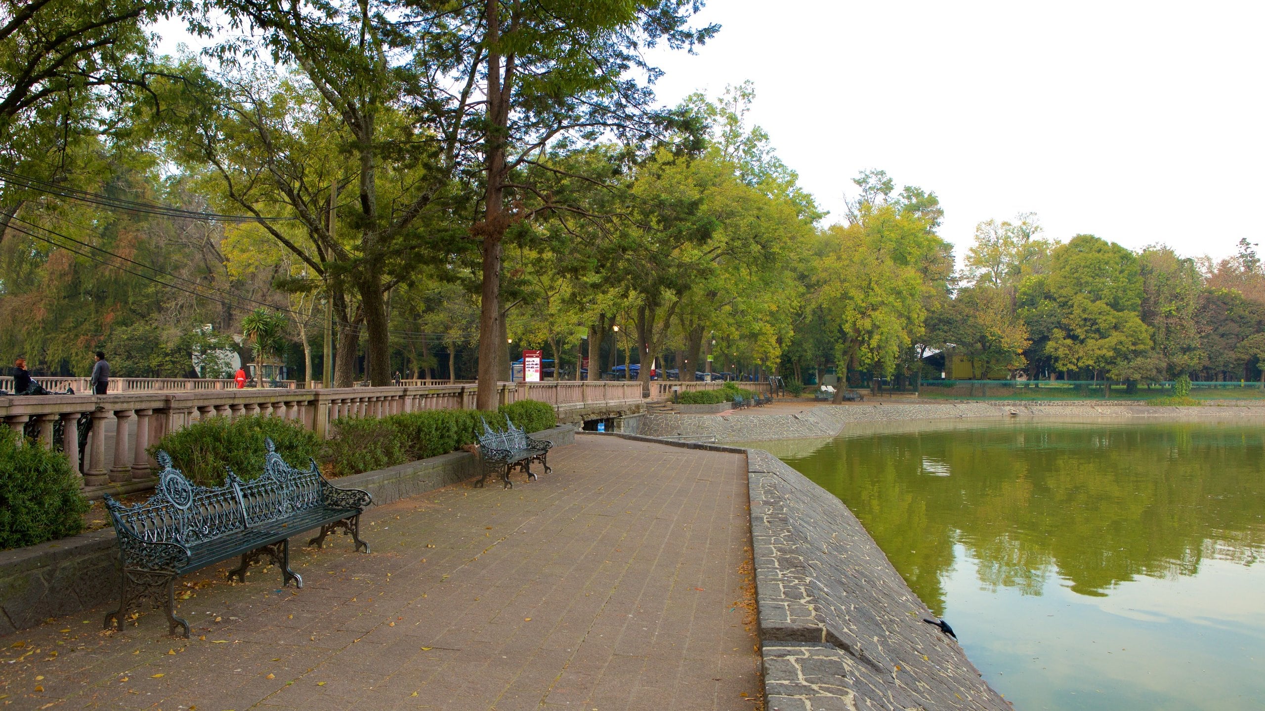 Visit Chapultepec: 2024 Chapultepec, Mexico City Travel Guide | Expedia
