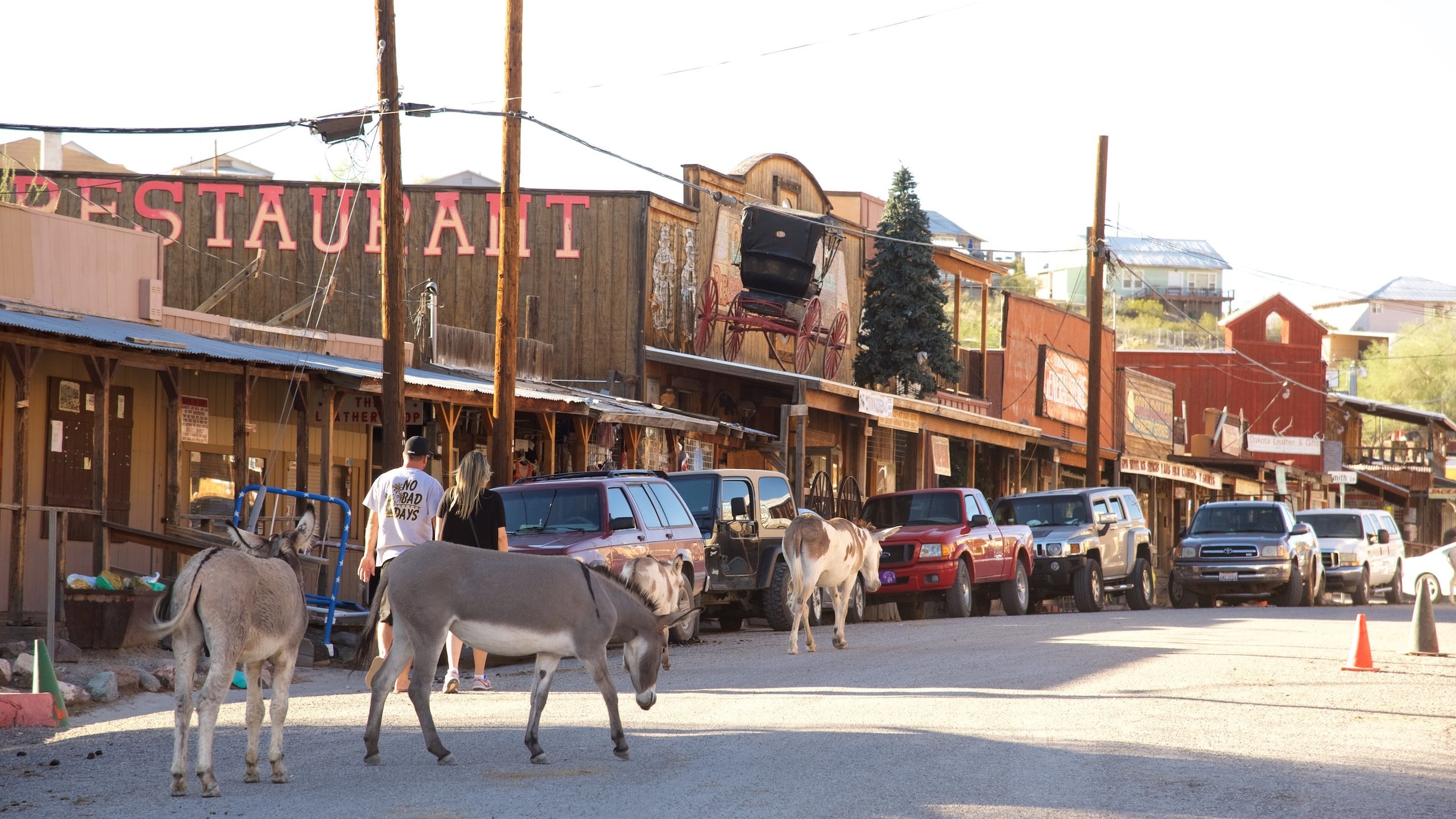 Boda En Oatman Az Trouwjurk Justin Alexander 99256