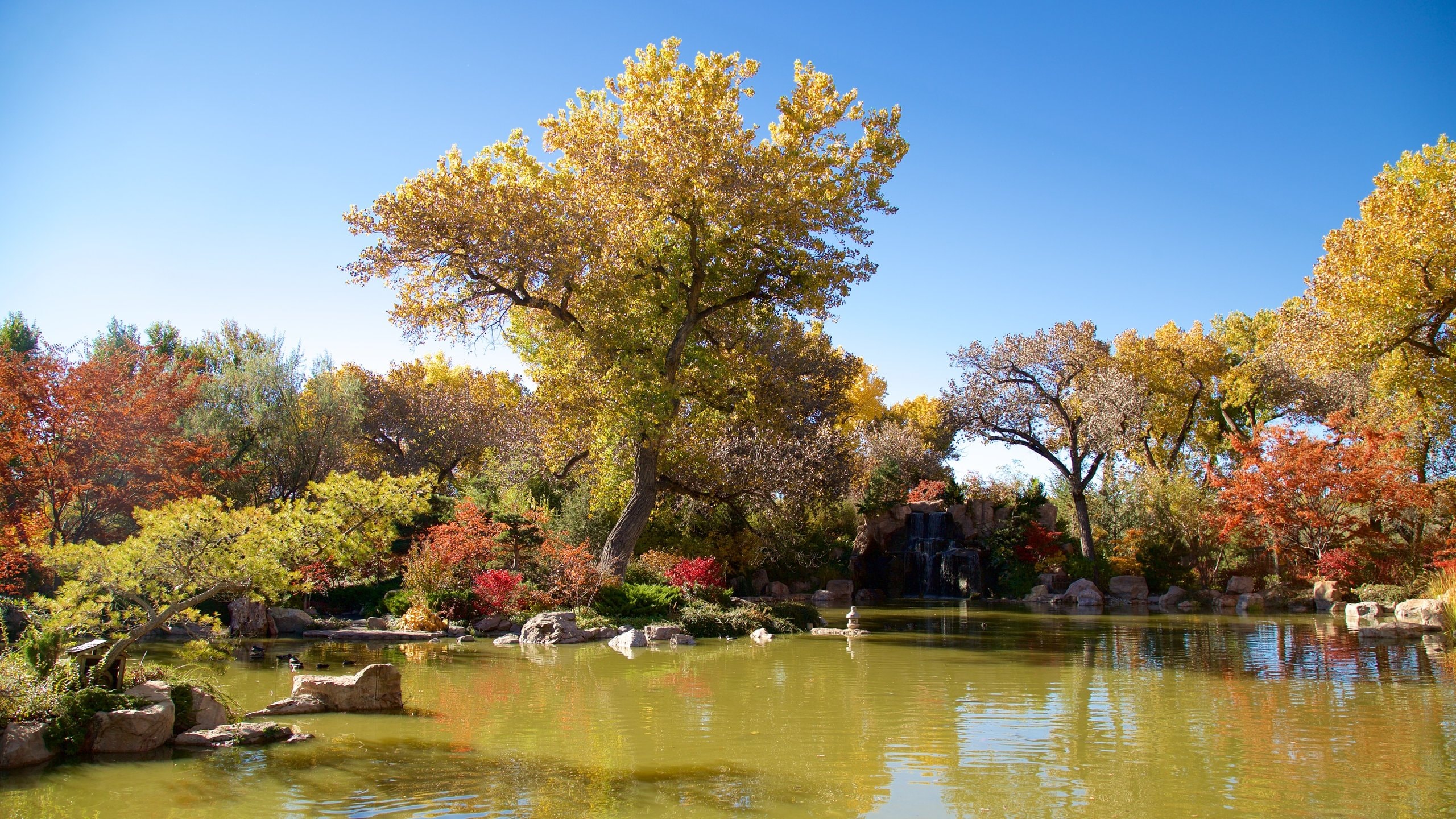 ABQ BioPark Botanic Garden, Albuquerque Vacation Rentals: house rentals ...