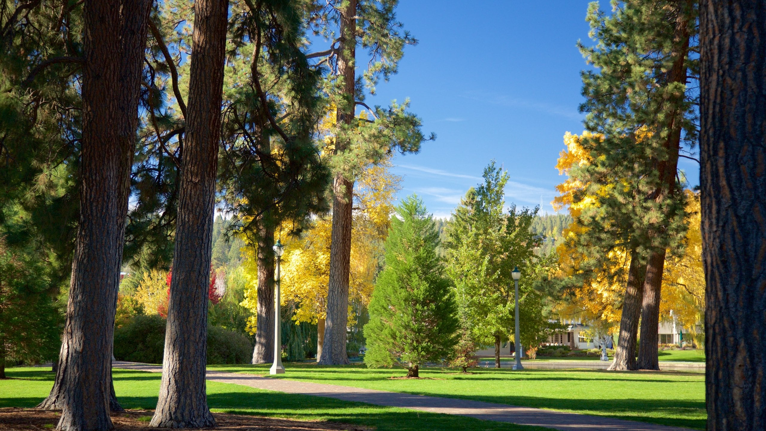 Drake Park Neighborhood Historic District Shevlin And Drake Park