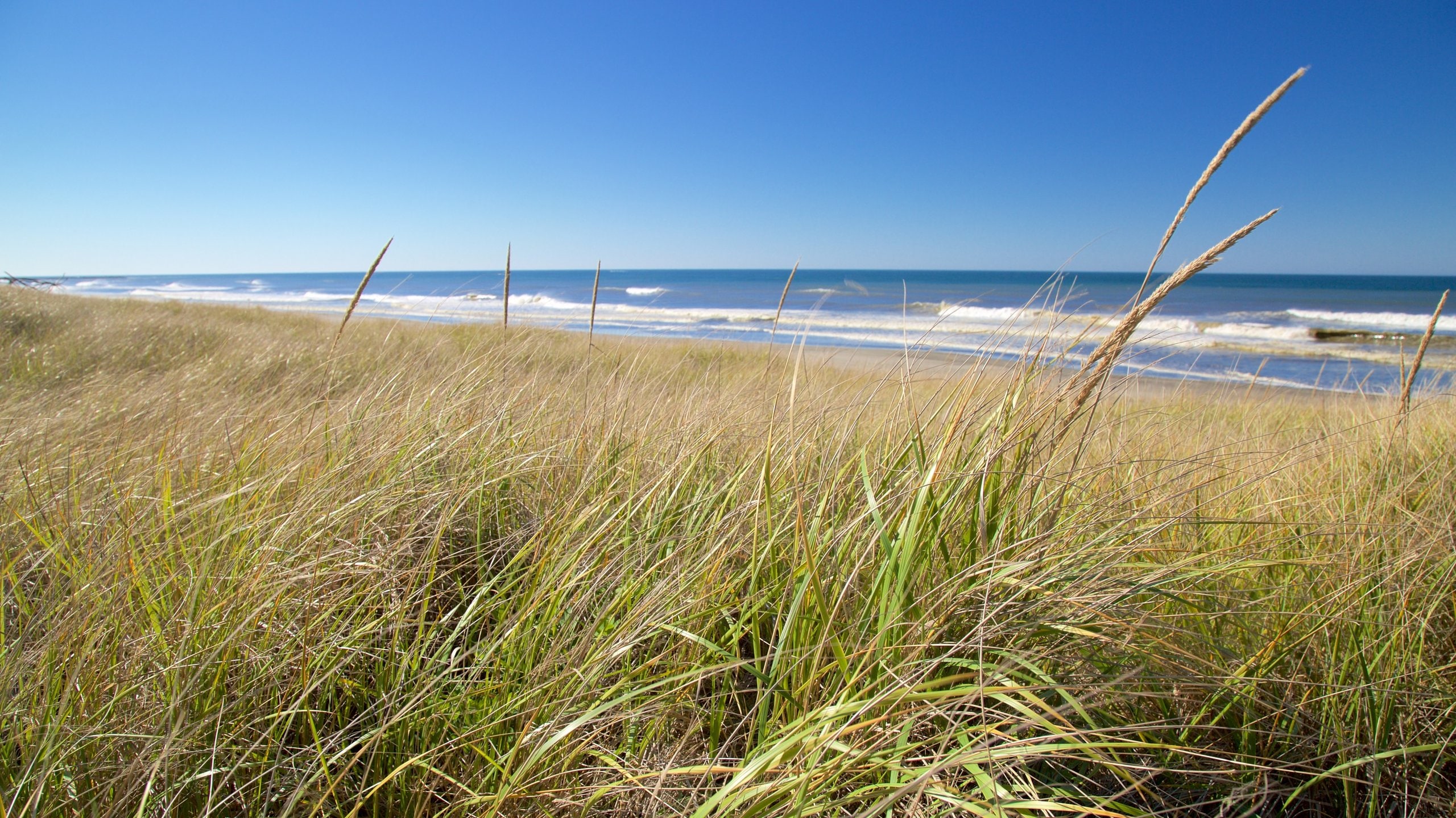 Ocean City Washington Tourist Guide Visit Ocean Shores Washington: