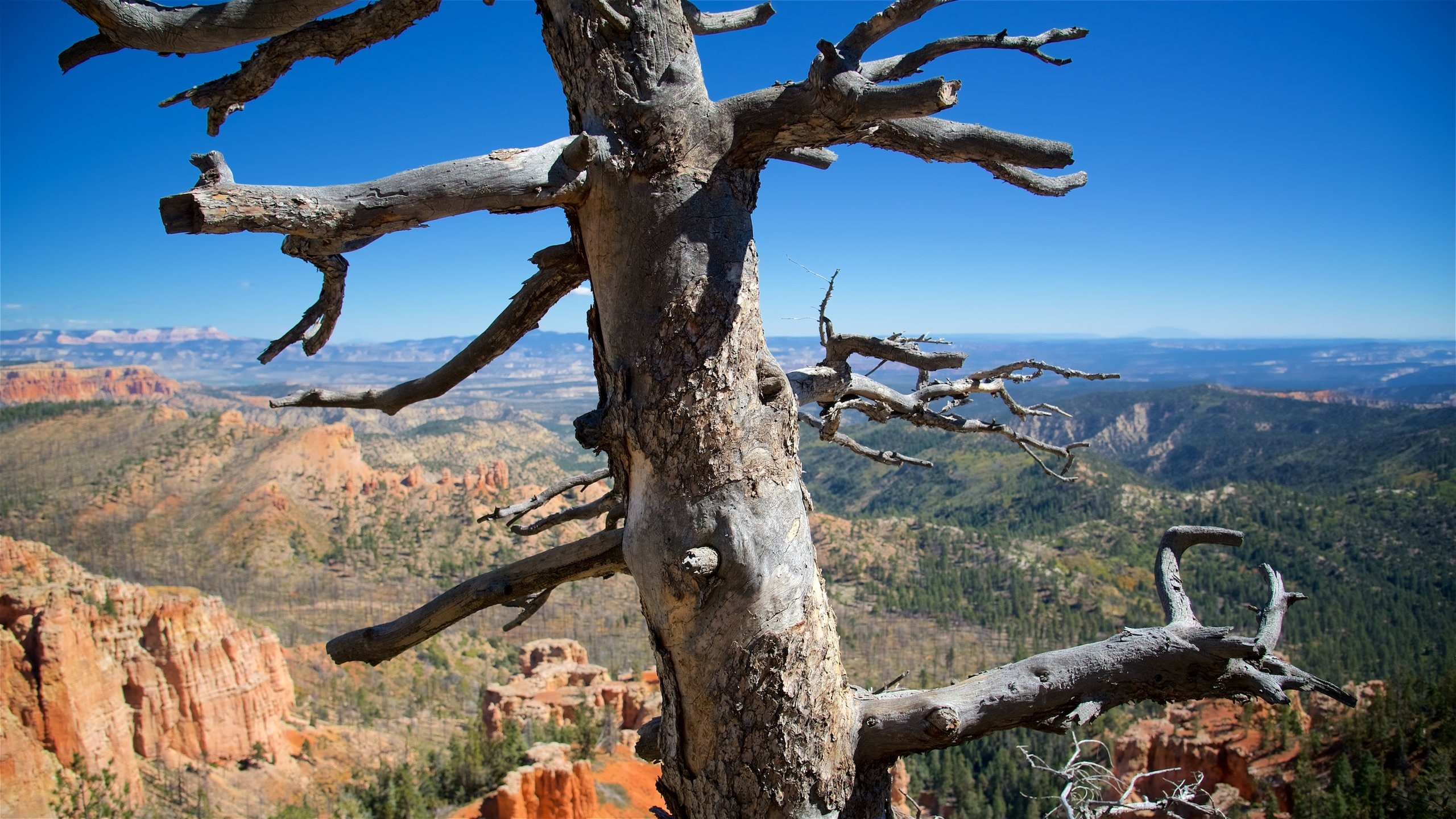 Visit Tropic: 2024 Travel Guide for Tropic, Utah | Expedia