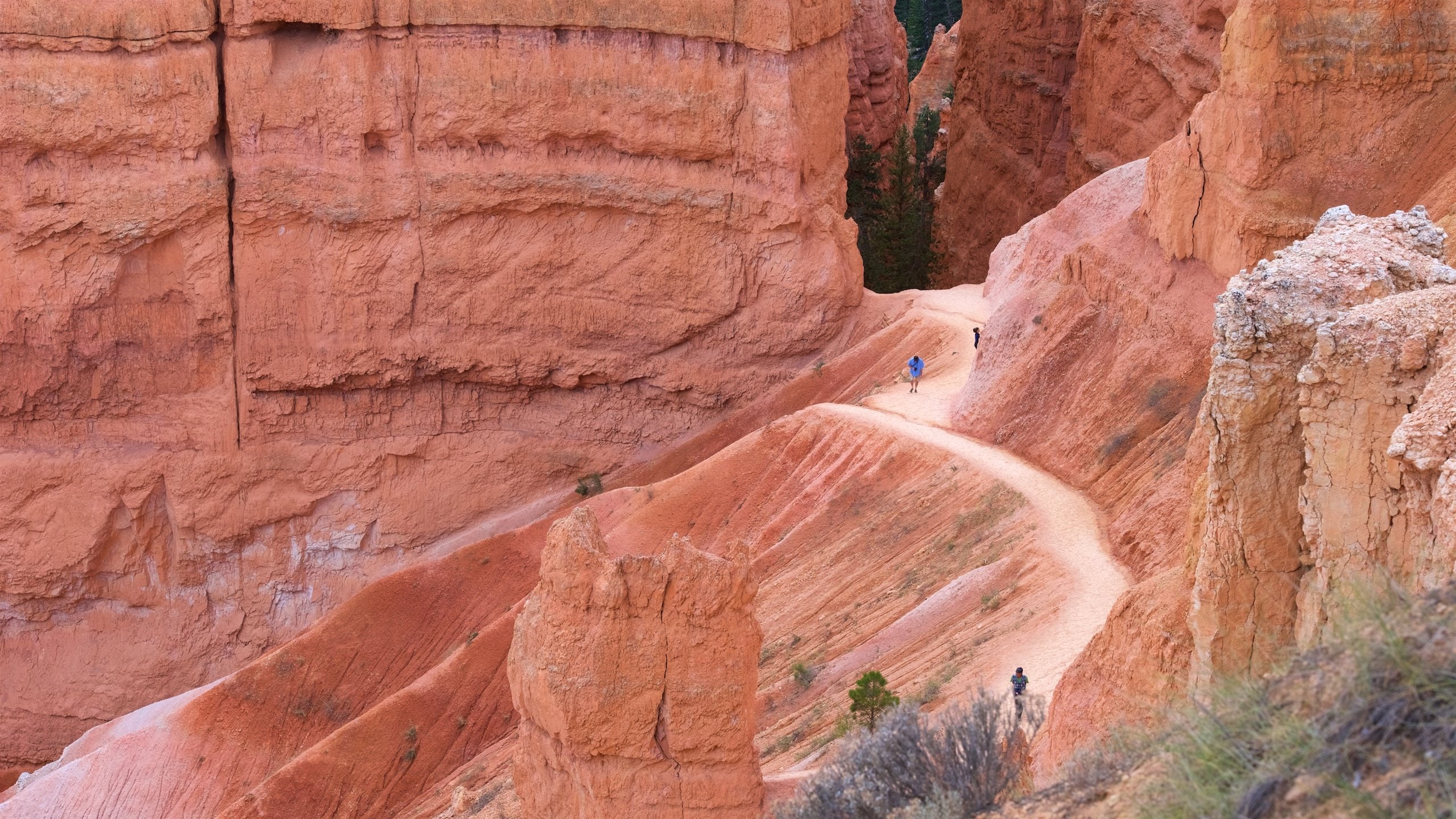 Navajo Trail Vacation Rentals: house rentals & more | Vrbo