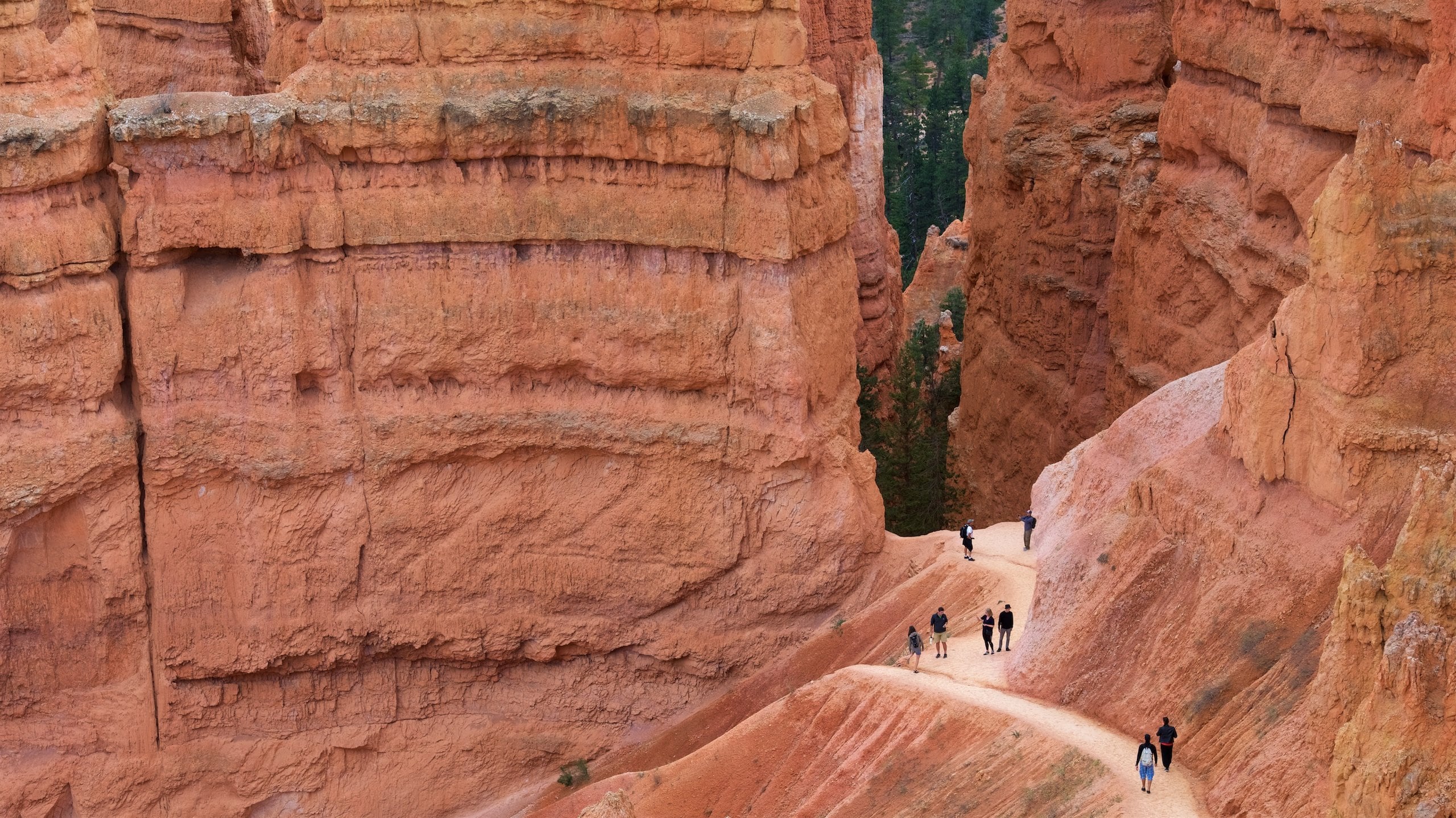 Navajo Trail holiday accommodation: holiday houses & more | Stayz