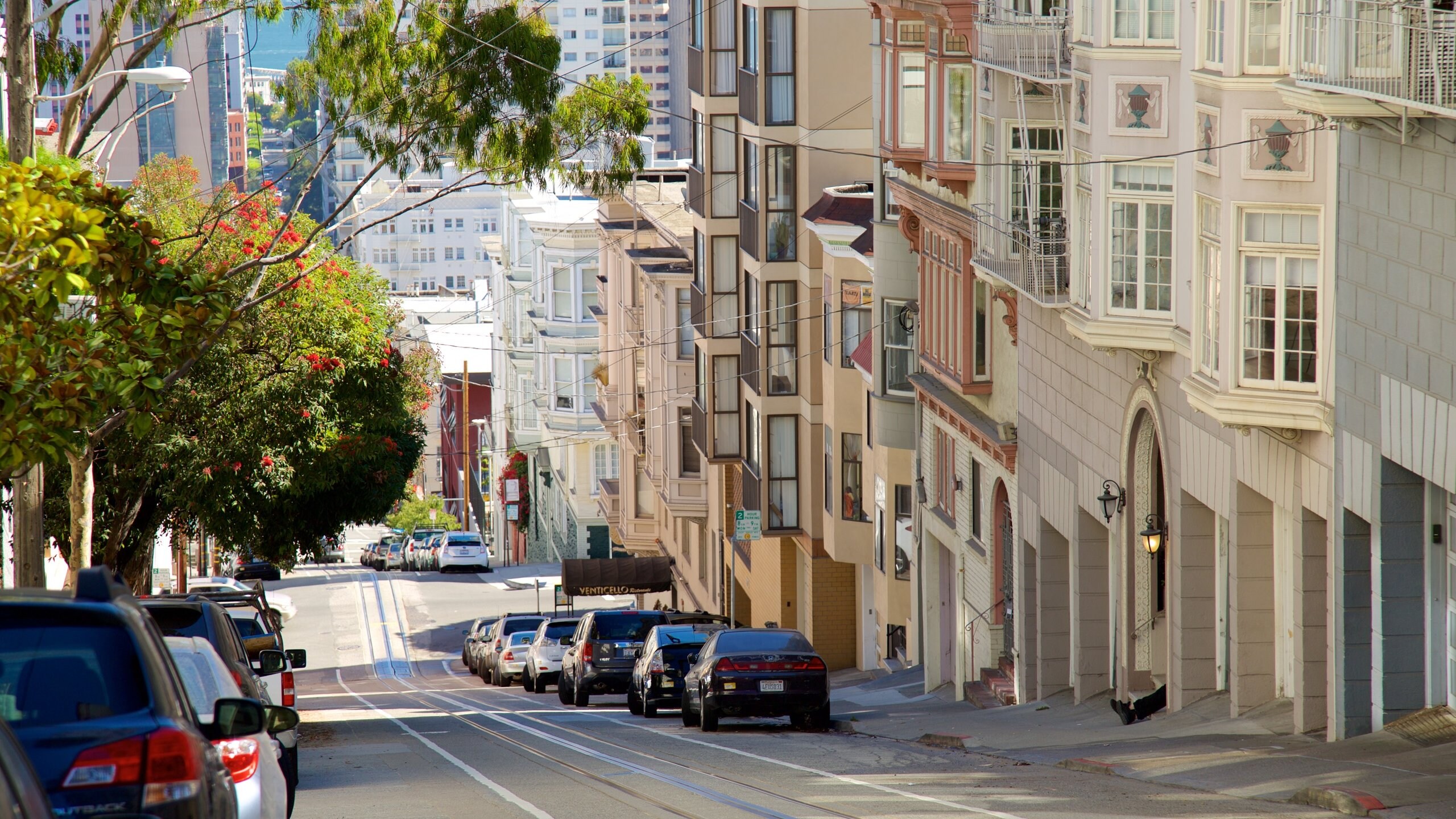 Nob Hill San Francisco Vacation Rentals Condo And Apartment Rentals