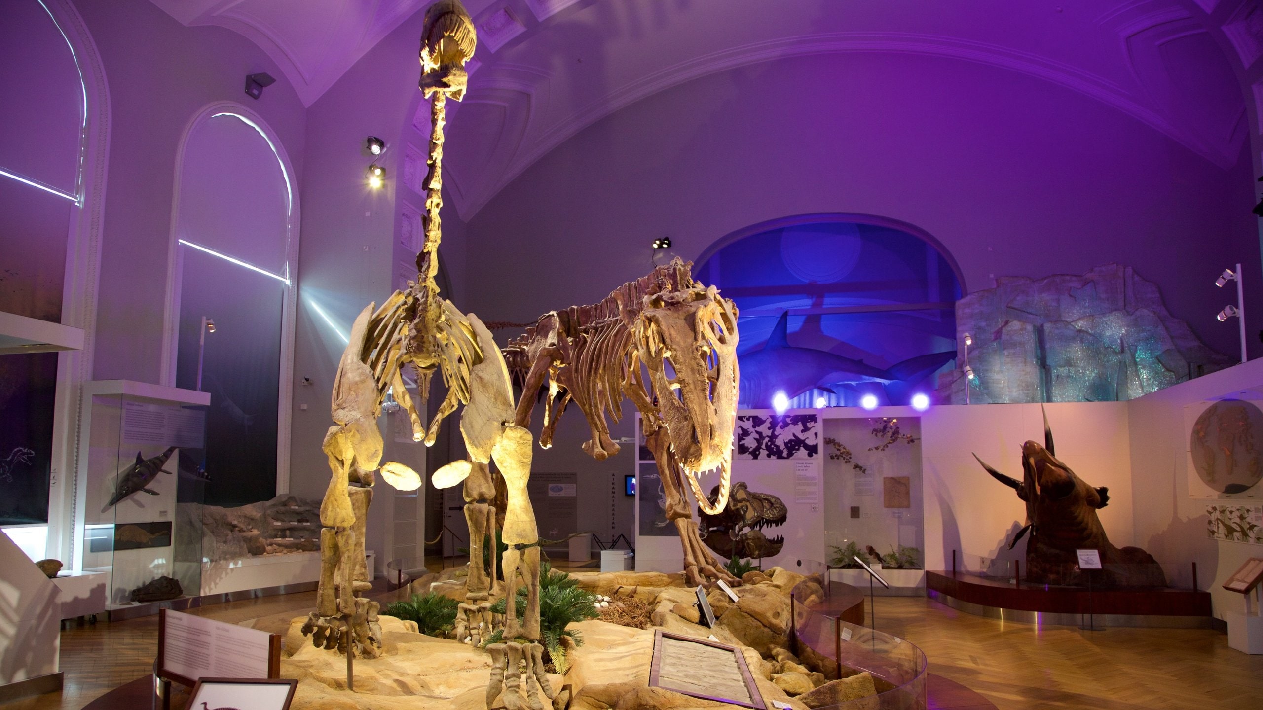 Finnish Museum of Natural History in Etelainen District | Expedia