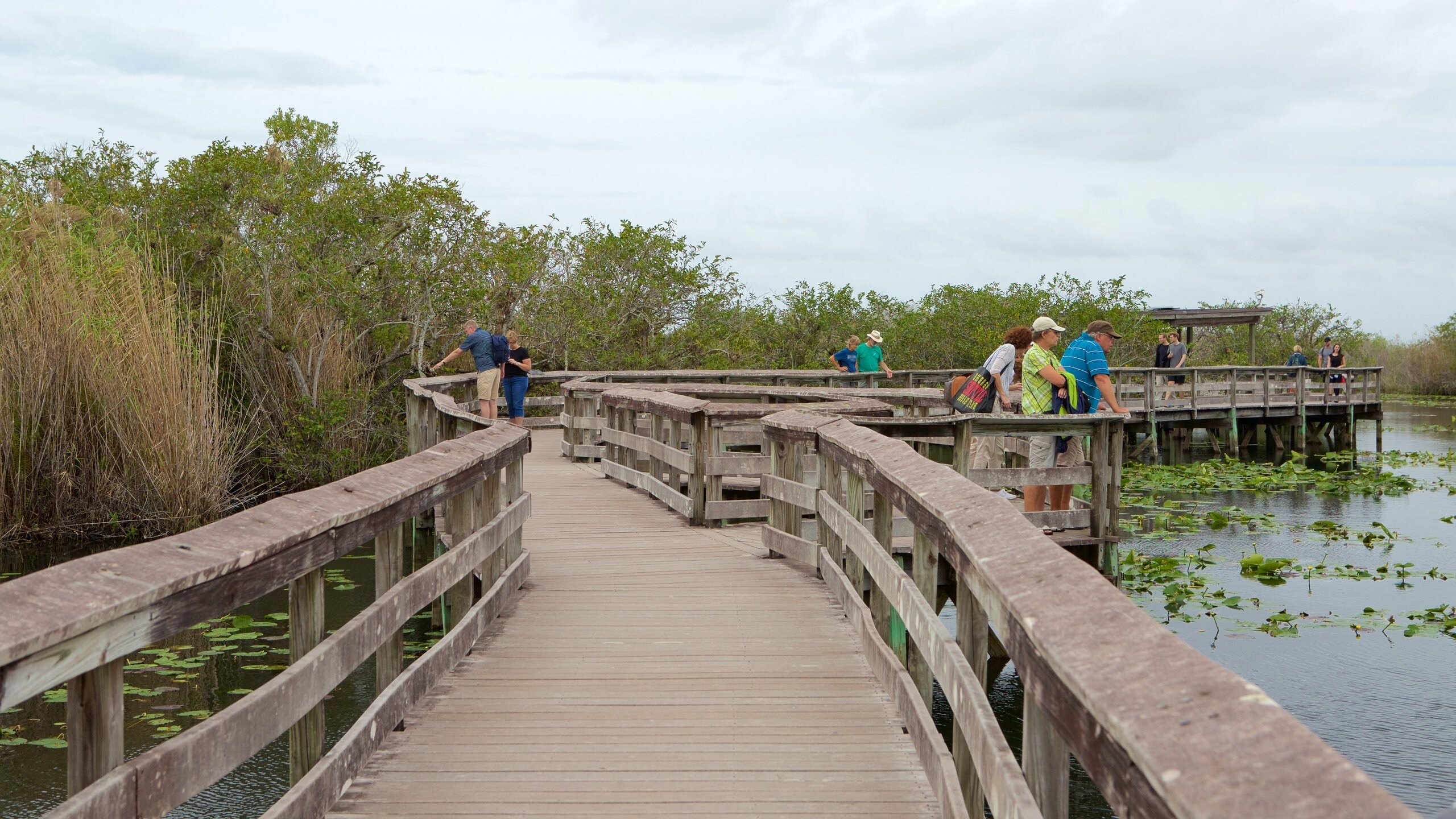 Anhinga Trail Vacation Rentals: hotel rentals & more | Vrbo
