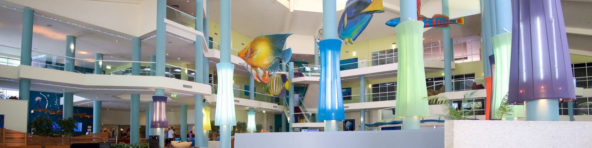 Whitsundays, Queensland, Austrália