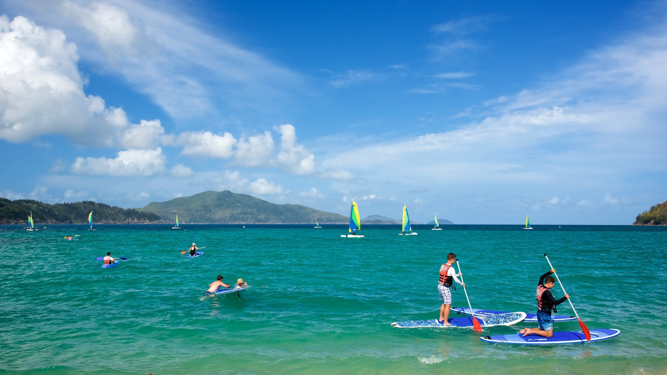 Ferienwohnung Catseye Beach: Ferienhäuser & mehr | FeWo-direkt