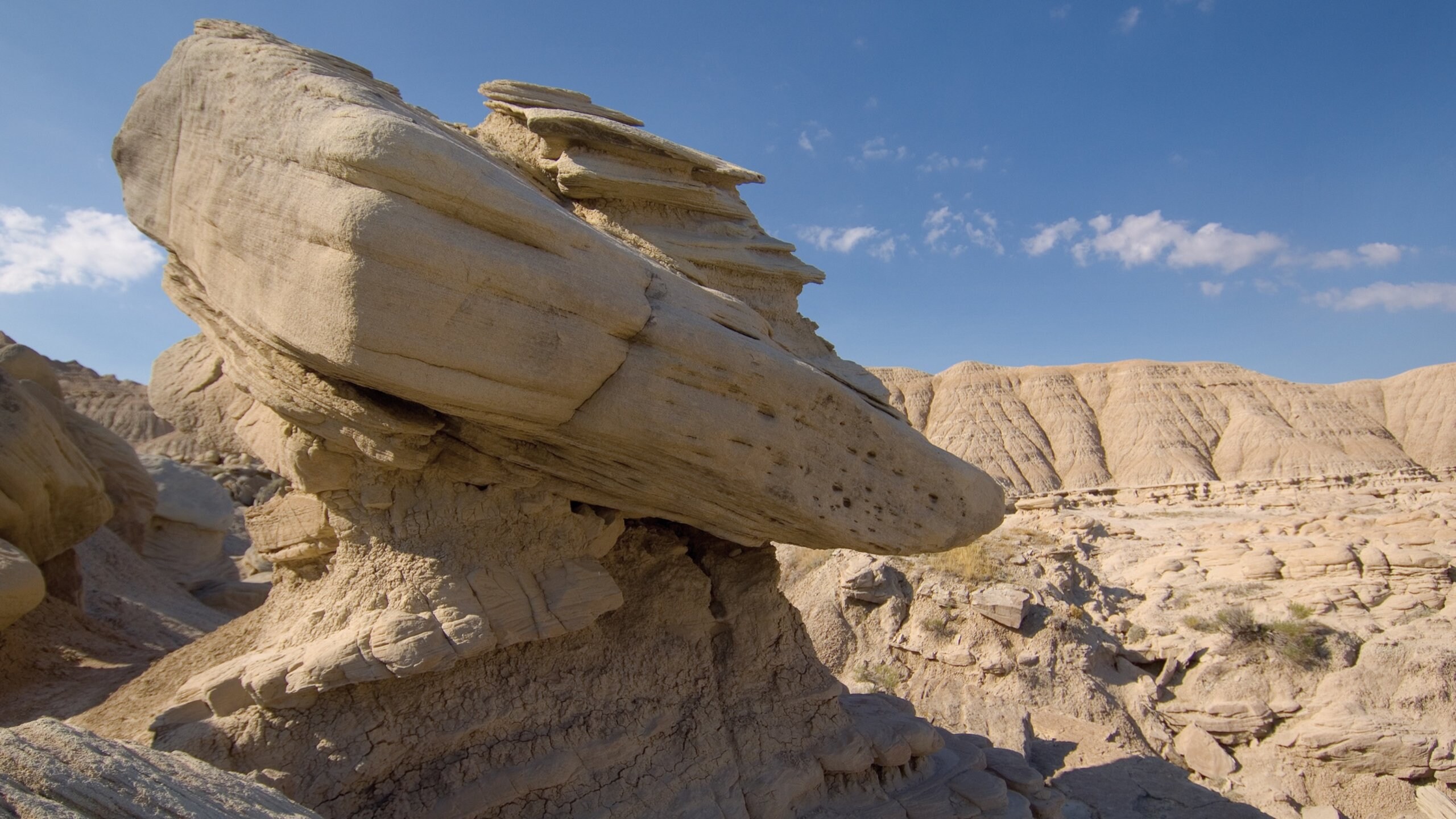 Visit Angora: 2023 Travel Guide for Angora, Nebraska | Expedia