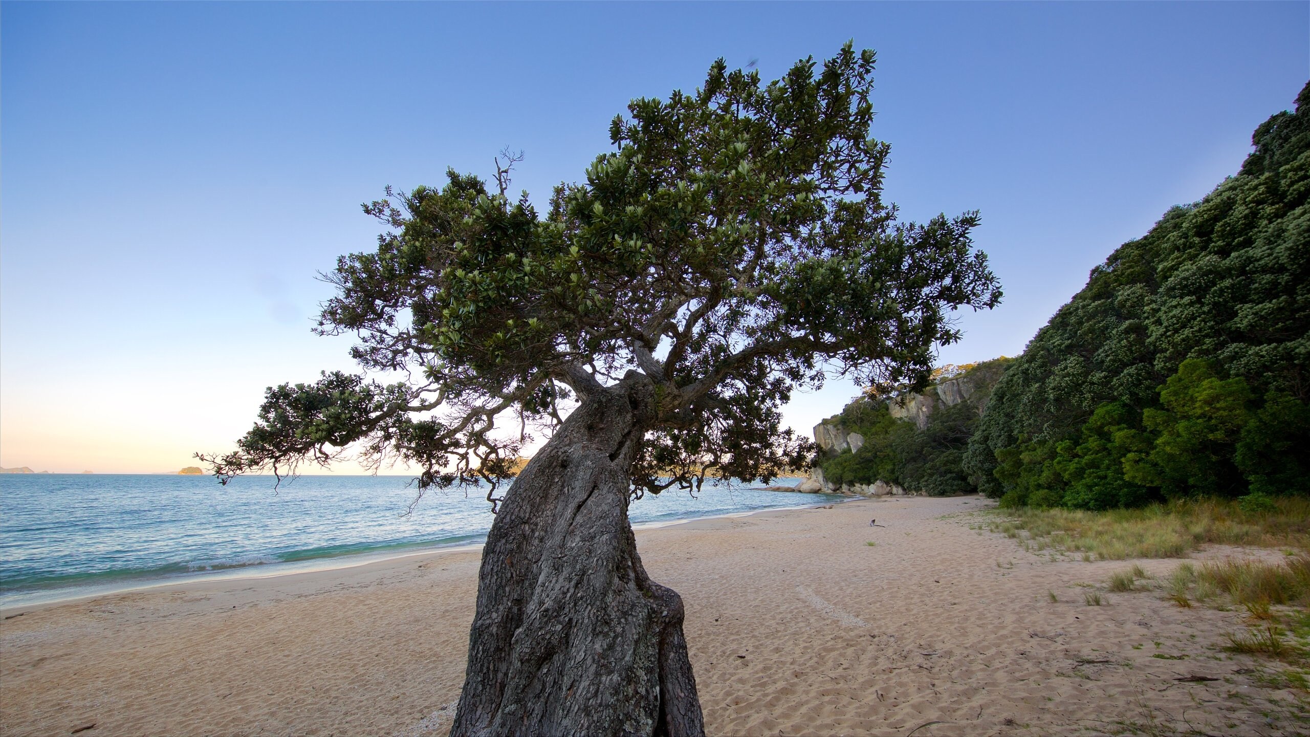 Shakespeare Cliff Lookout, Cooks Beach Vacation Rentals: house rentals ...