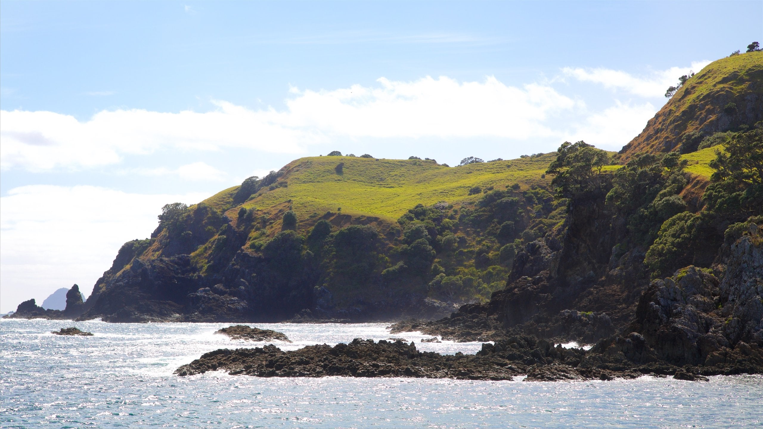 Rental Car Bay Of Islands at Harry Leslie blog