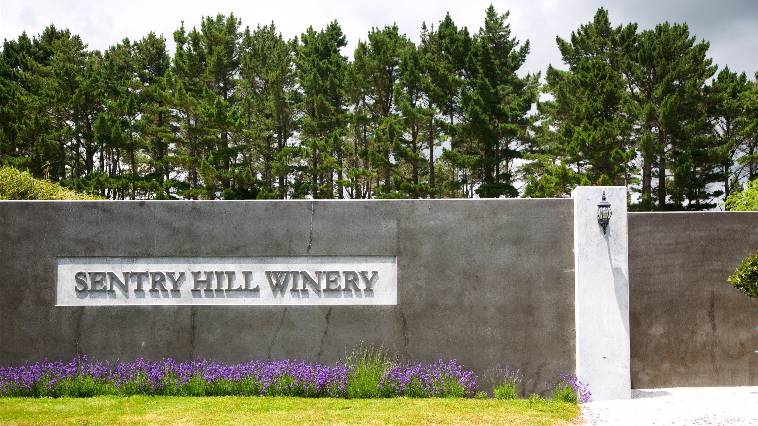 Sentry Hill Winery, Lepperton holiday homes from NZ$ 69/night | Bookabach