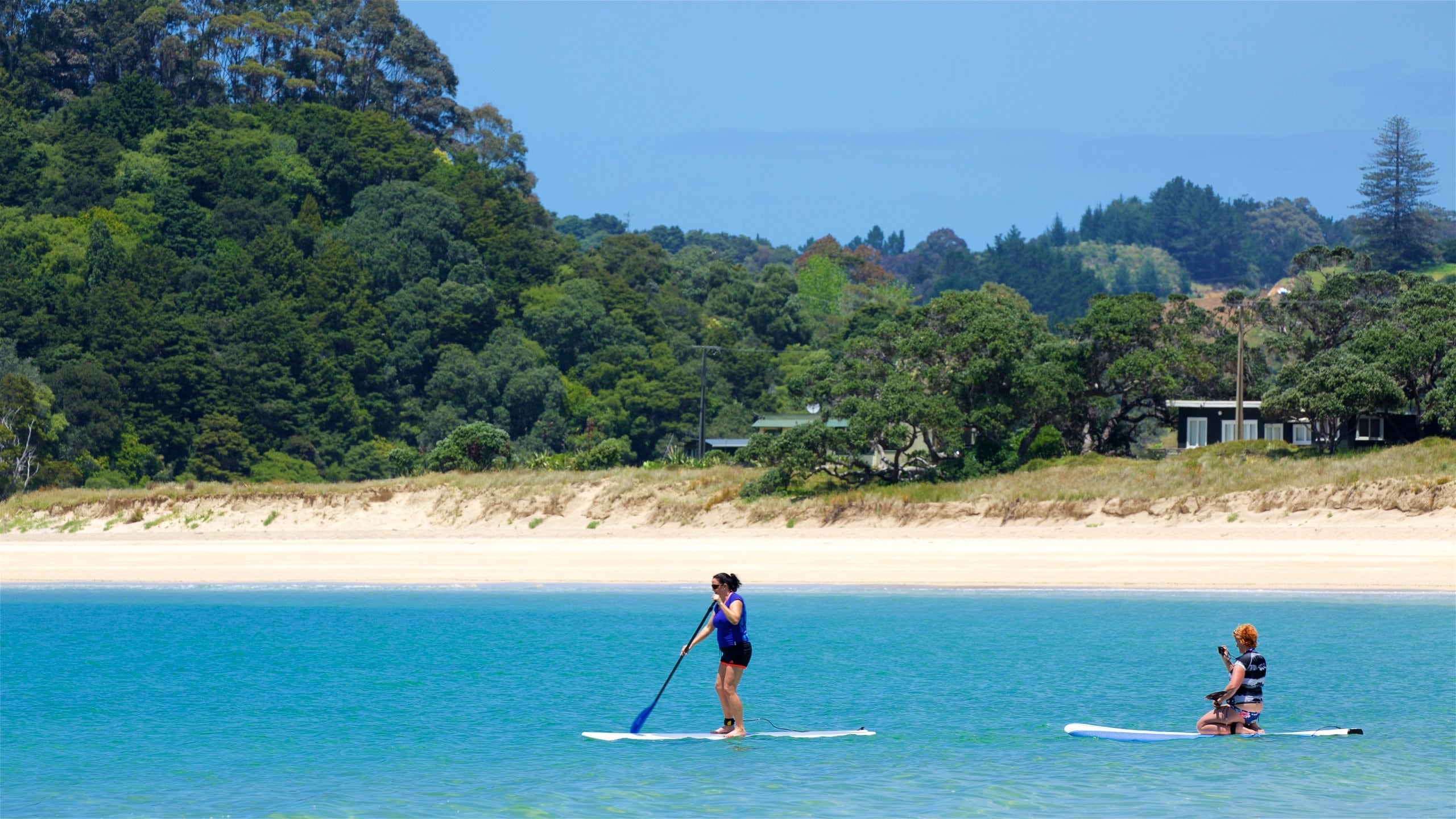 Visit Tutukaka: 2024 Travel Guide for Tutukaka, Northland | Expedia