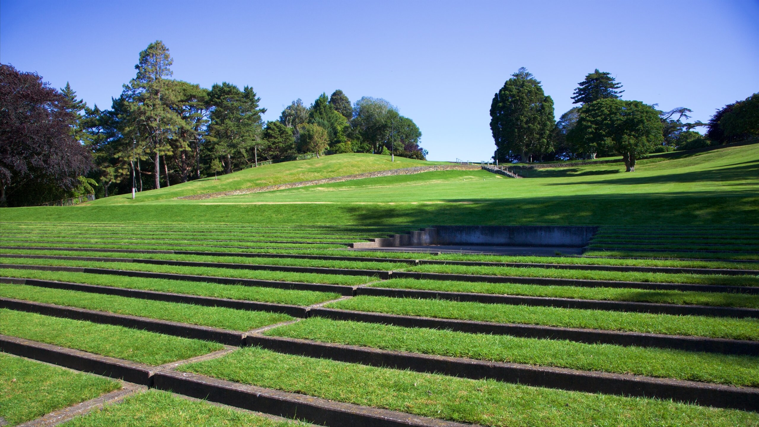 Bowl of Brooklands, New Plymouth holiday homes from NZ$ 69/night ...