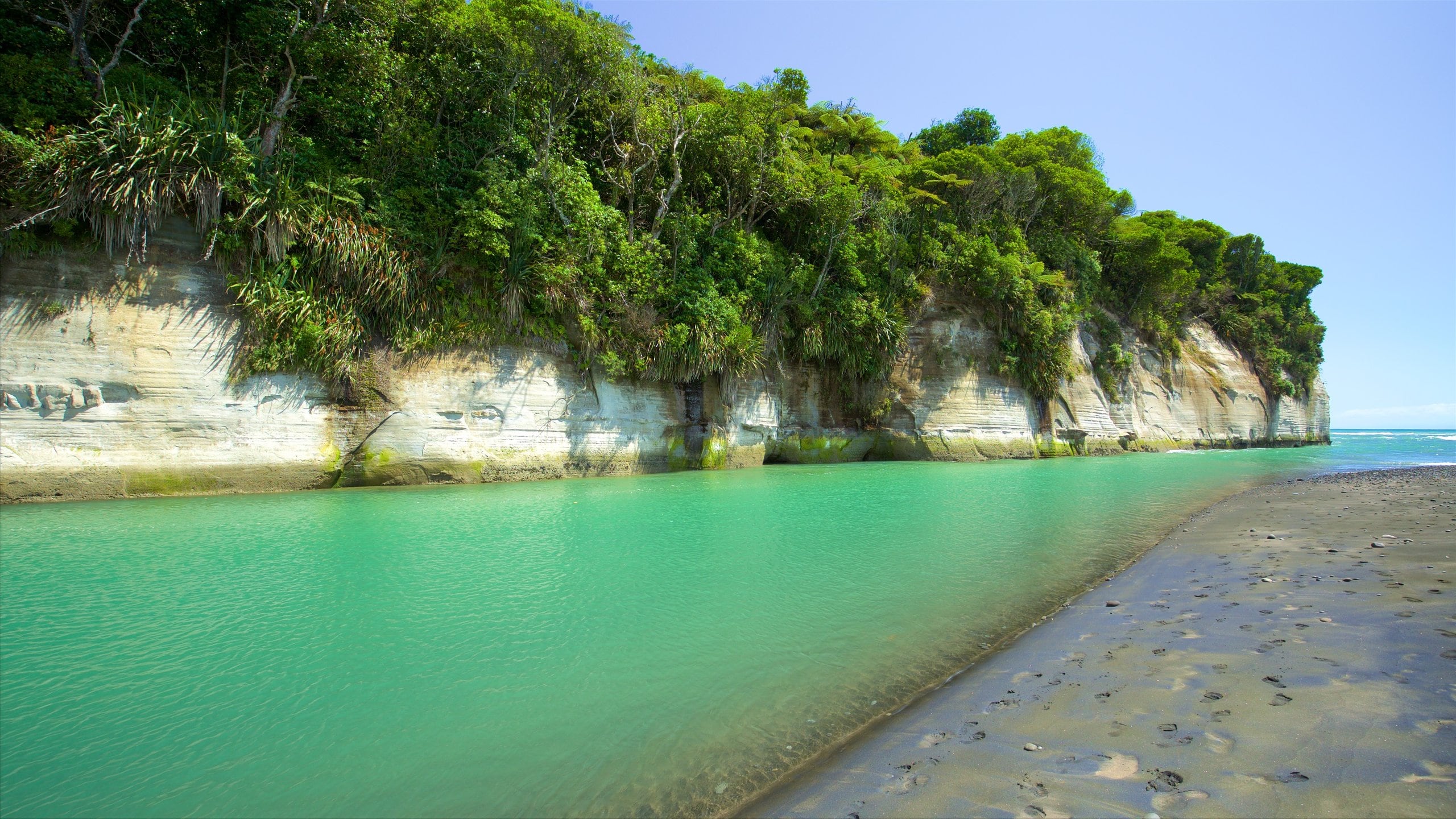 Visit Urenui: 2024 Travel Guide for Urenui, Taranaki | Expedia
