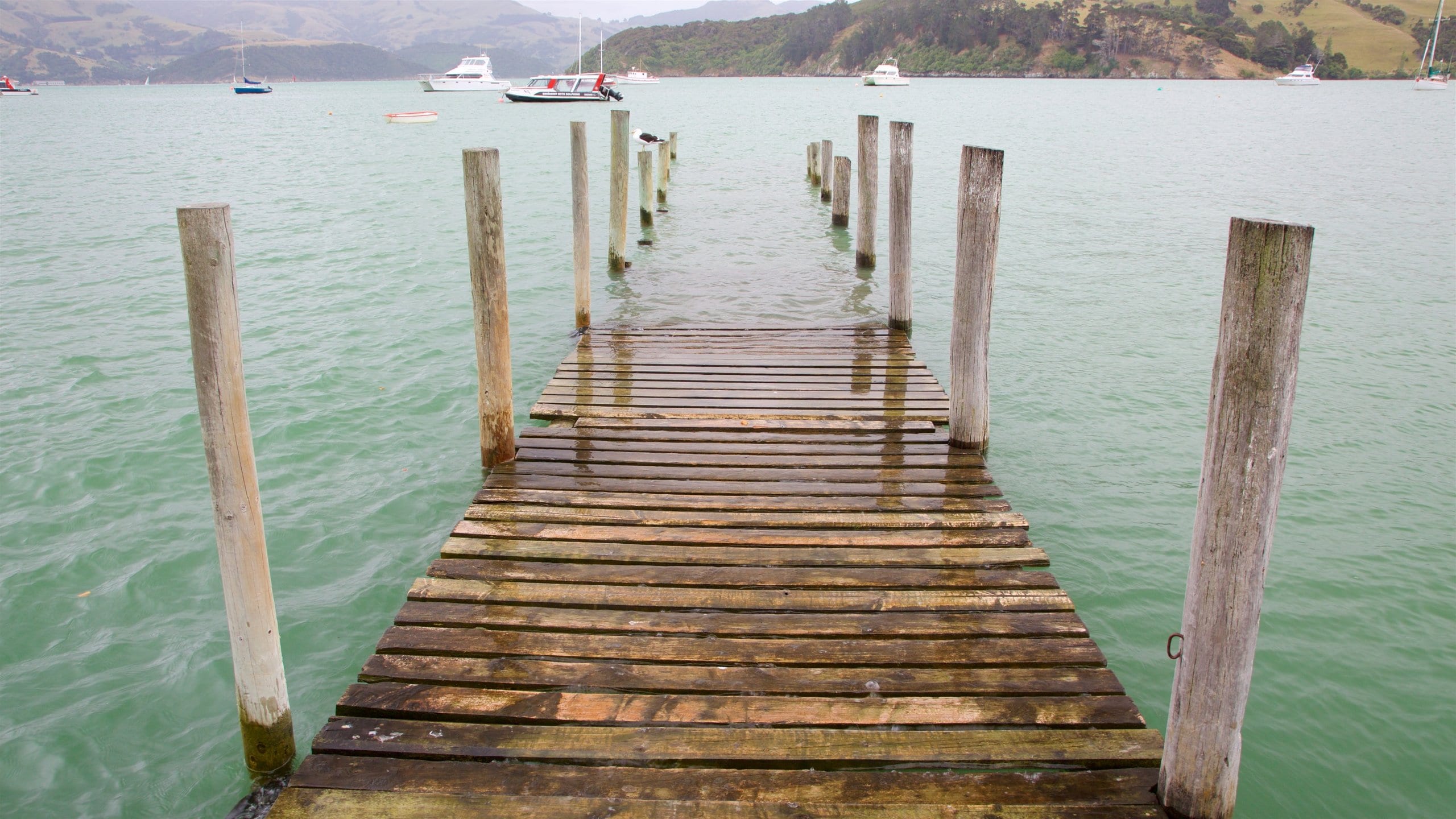 10 Fun Things to Do in Windwhistle October 2023 | Expedia