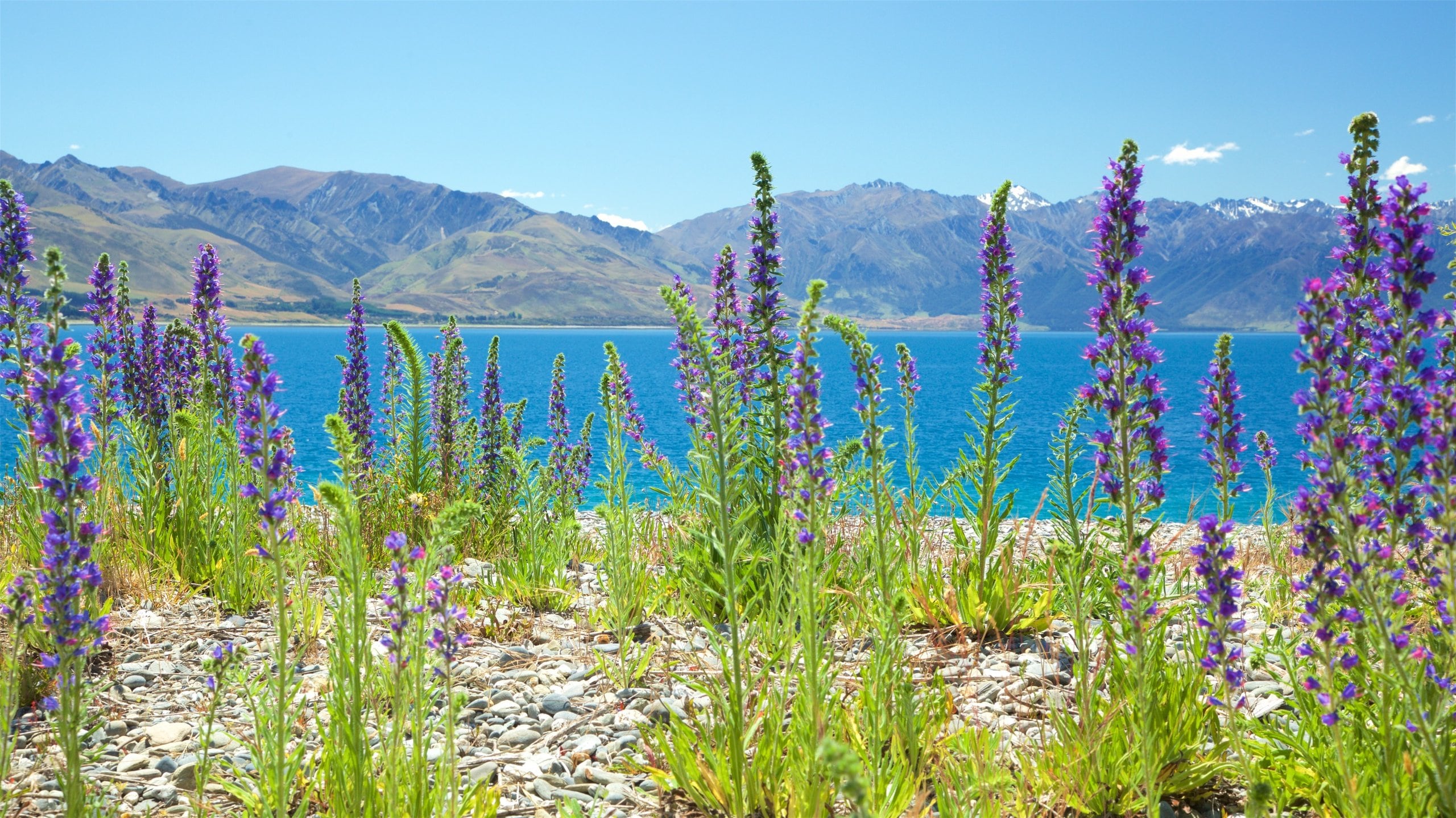 Visit Lake Hawea: Best of Lake Hawea Tourism | Expedia Travel Guide
