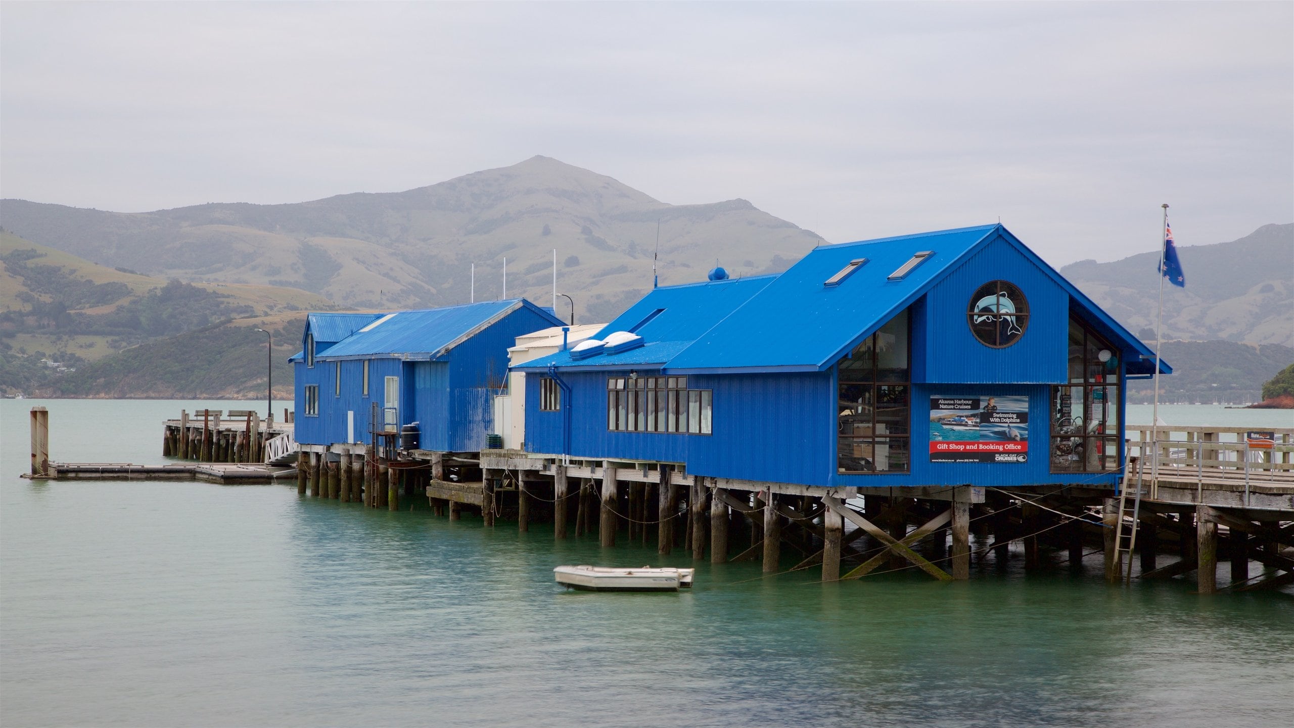 Akaroa Wharf - Tours and Activities | Expedia