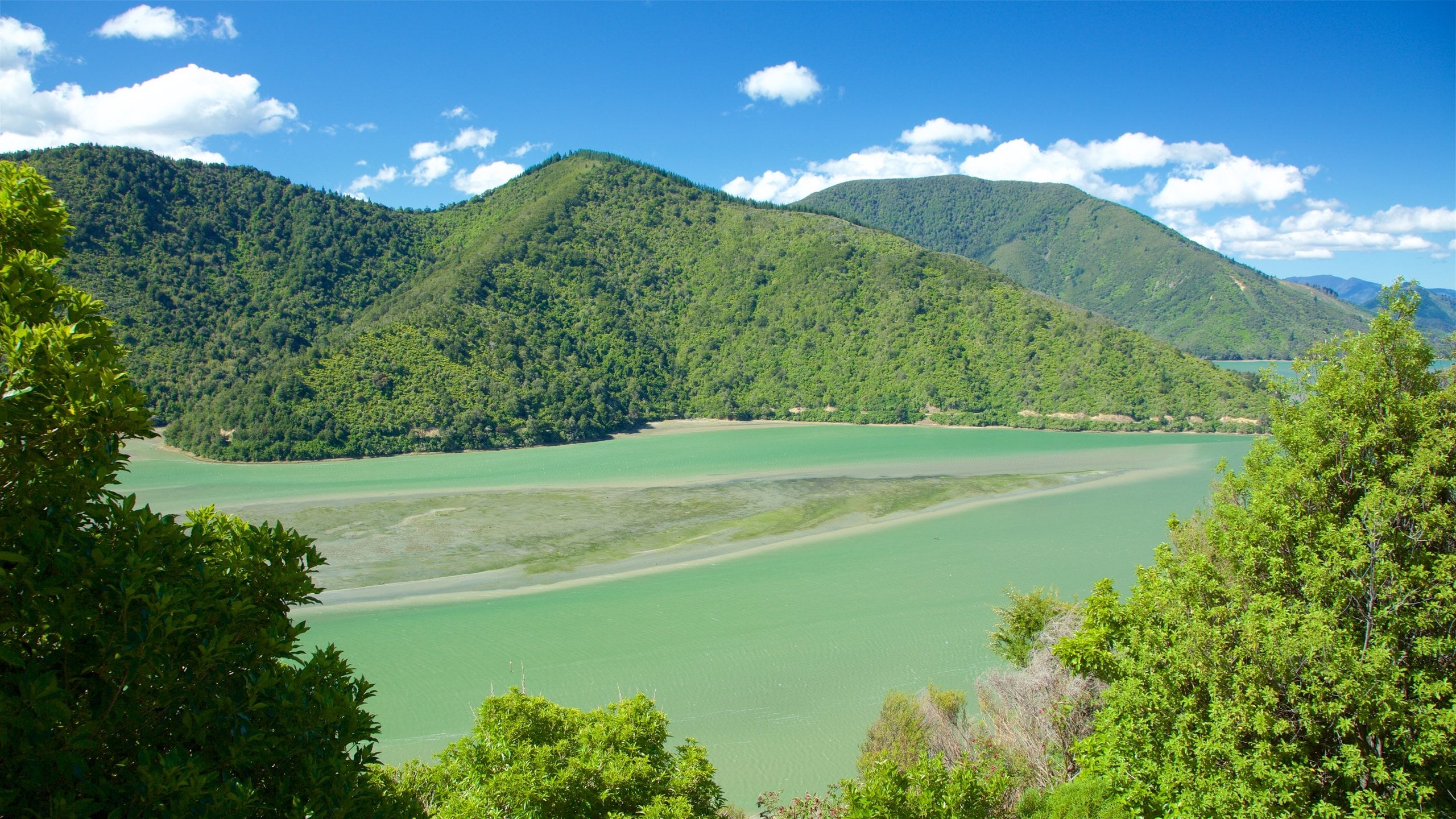 Mahau Sound, NZ Vacation Rentals: house rentals & more | Vrbo