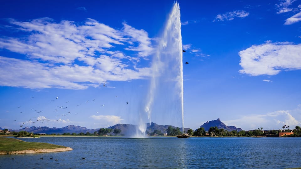 Fountain Hills caracterizando uma fonte, um lago ou charco e vida das aves