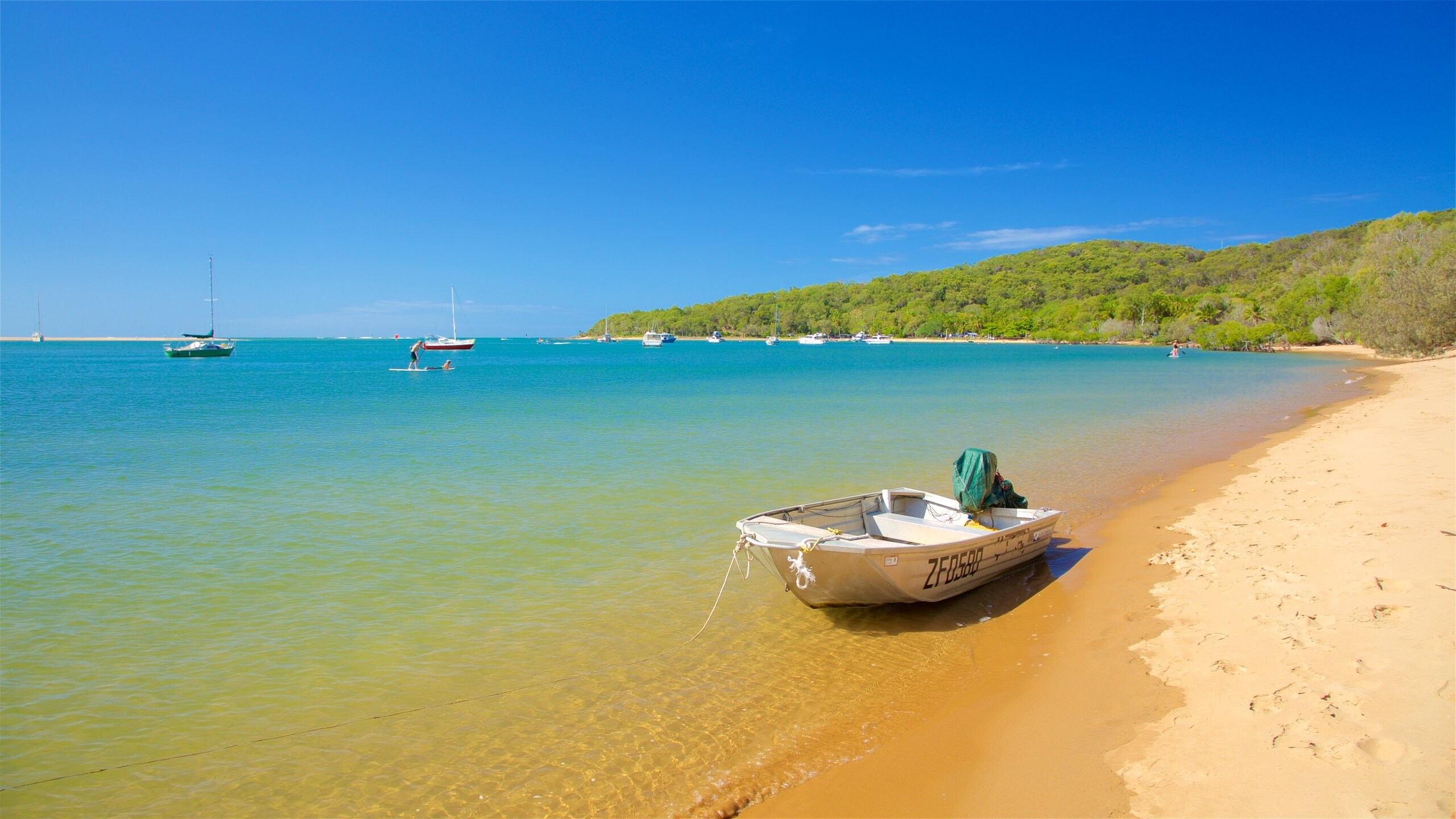 Visit Agnes Water: 2024 Travel Guide for Agnes Water, Queensland | Expedia