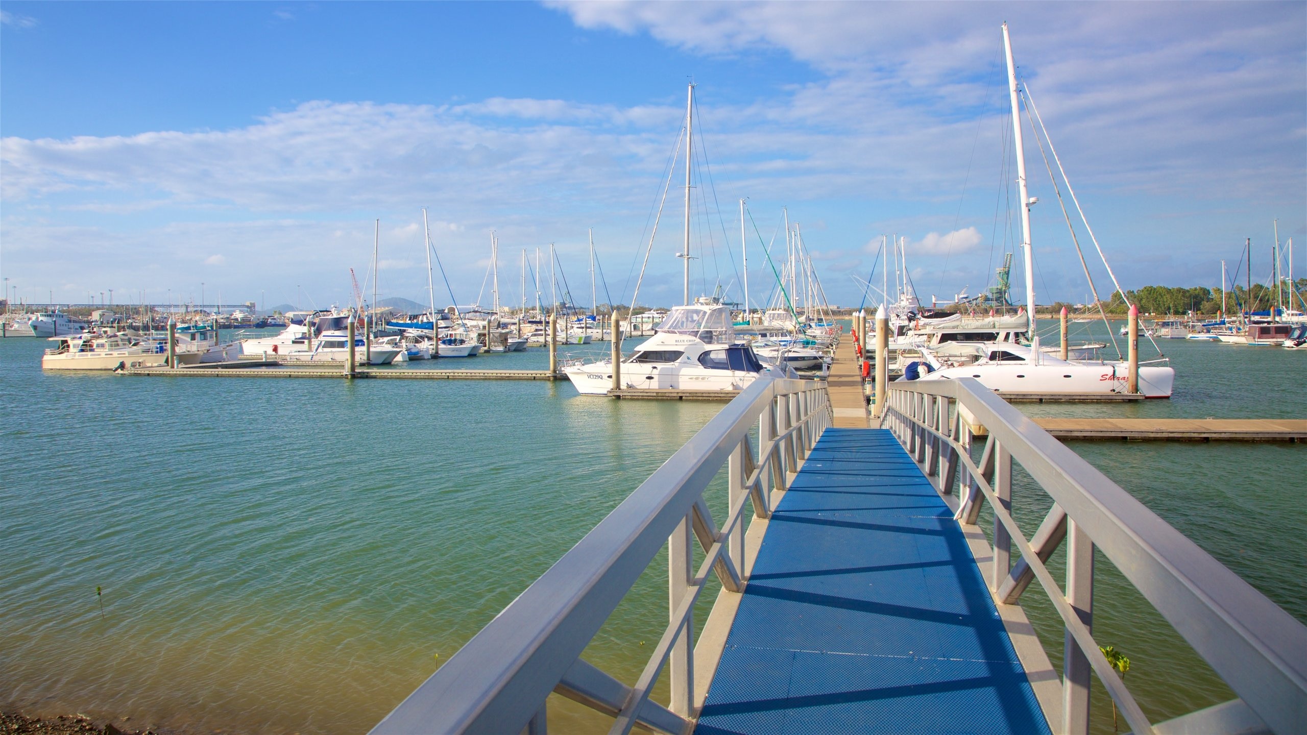 Gladstone Marina - Callemondah Attraction | Expedia.com.au