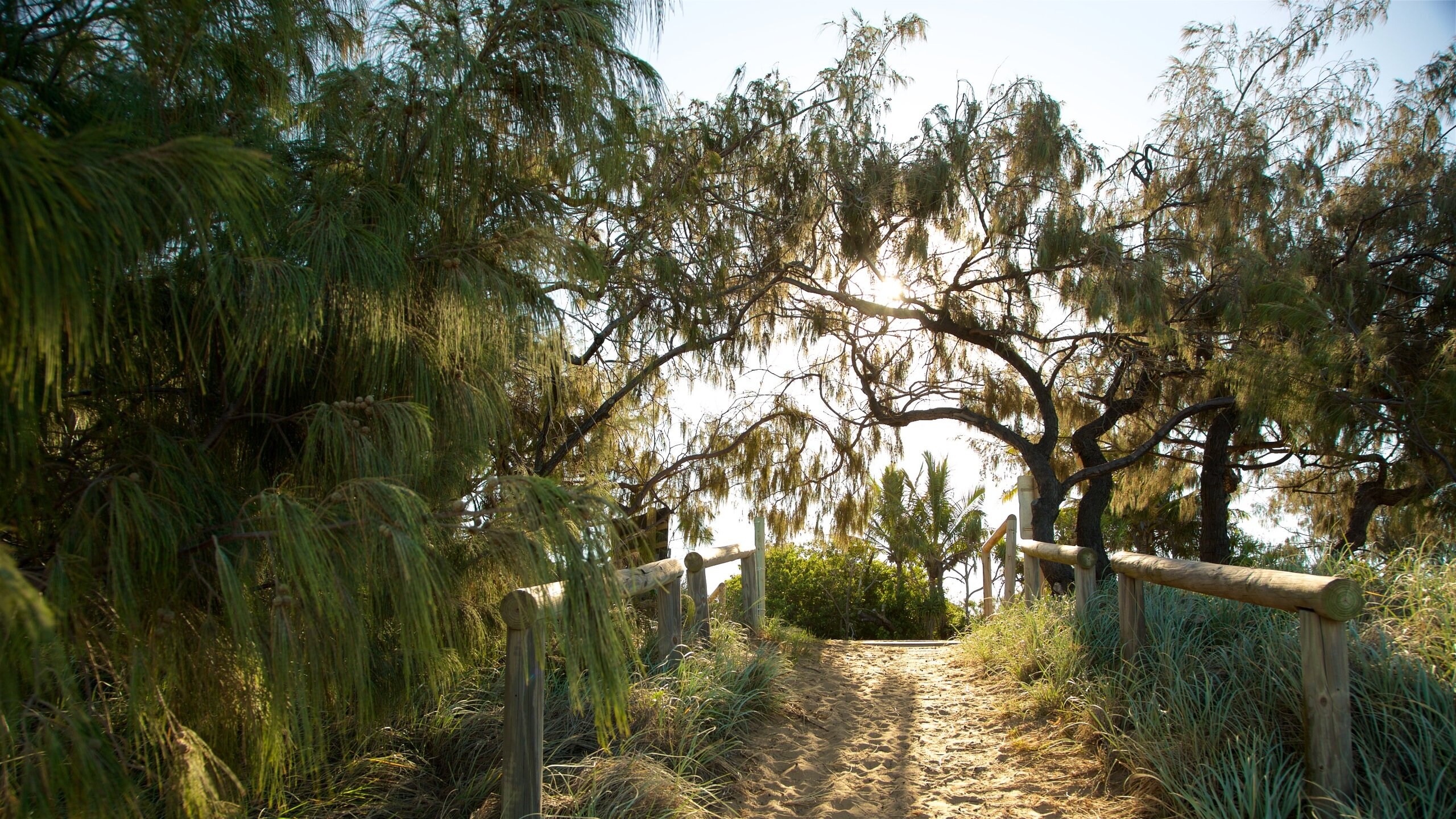 Kelly's Beach - Tours and Activities | Expedia