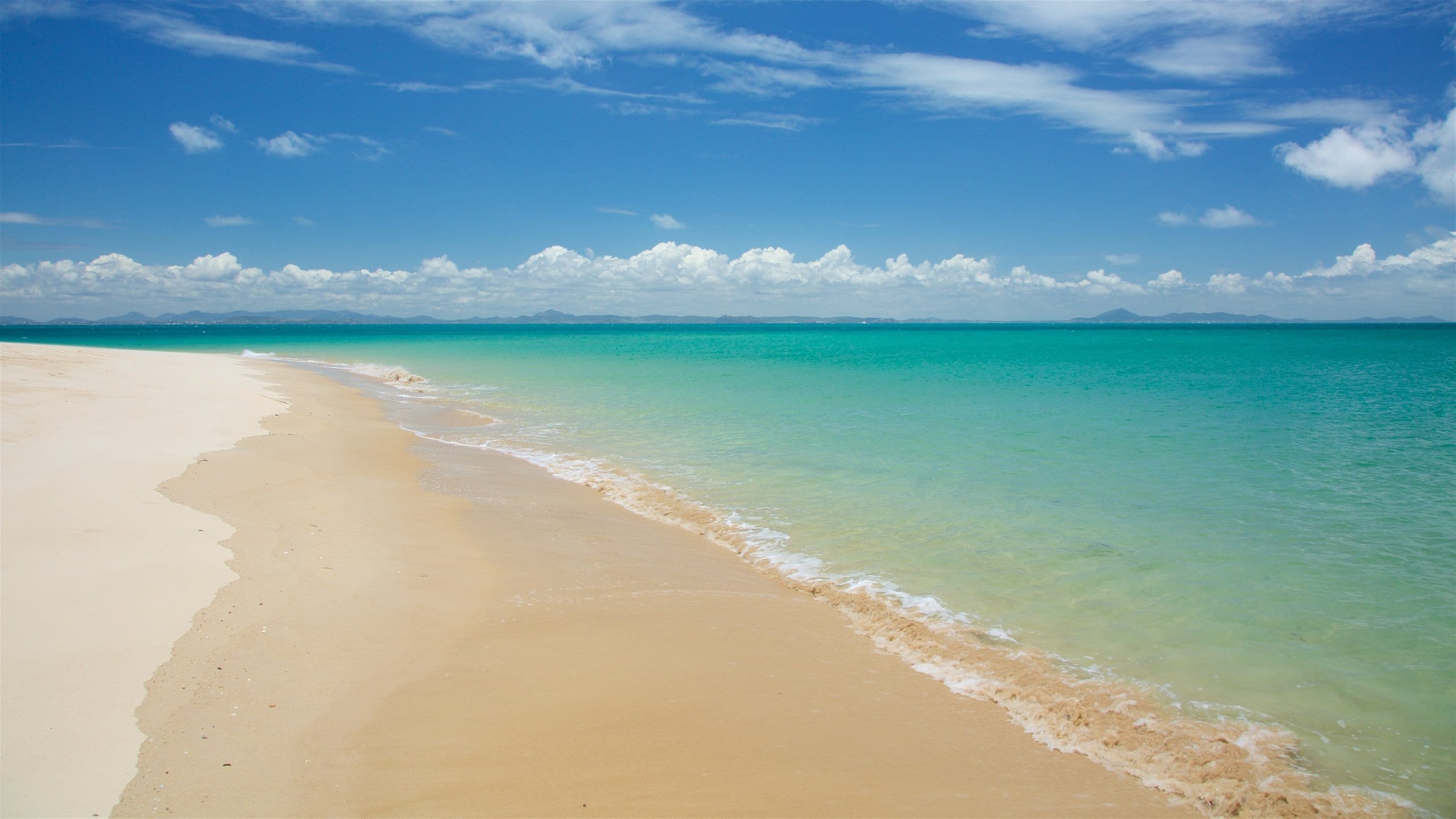 Putney Beach - Tours and Activities | Expedia