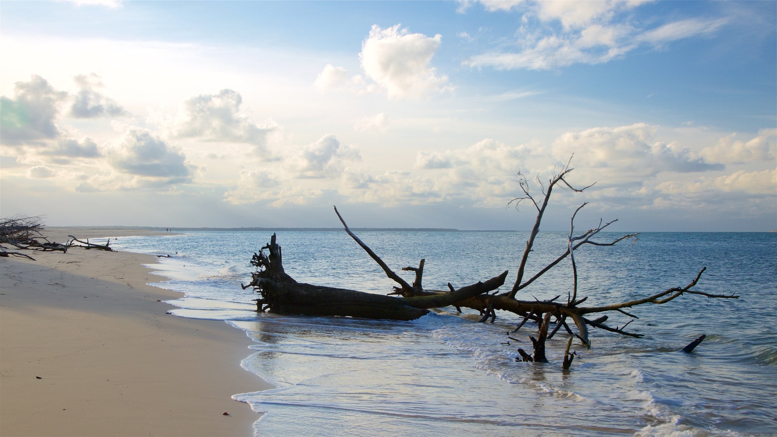 Inskip Point, Inskip holiday accommodation from AU$ 150/night | Stayz