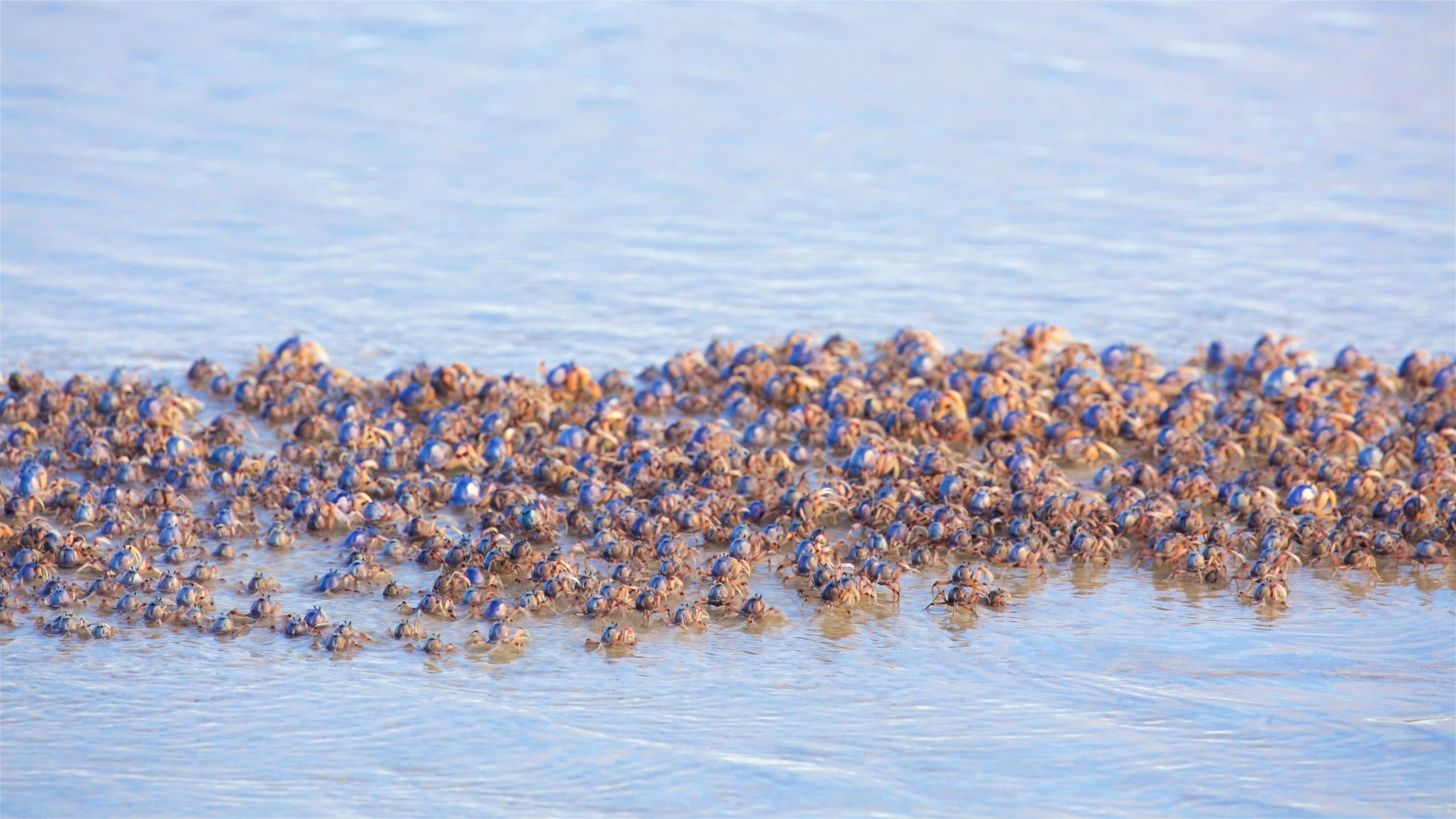 Visit Inskip: 2024 Travel Guide for Inskip, Queensland | Expedia