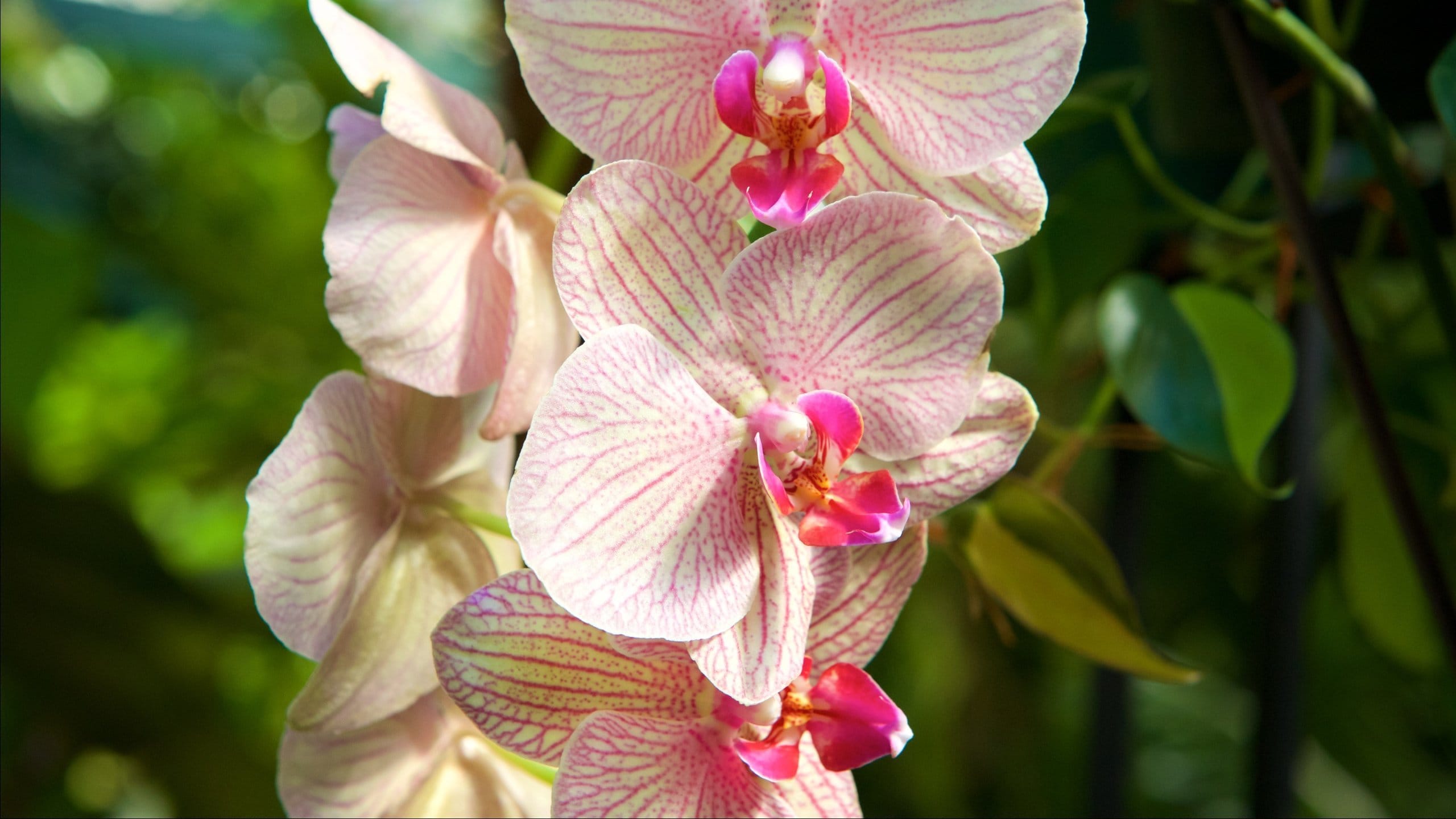 Visit Ladson: 2024 Travel Guide for Ladson, South Carolina | Expedia