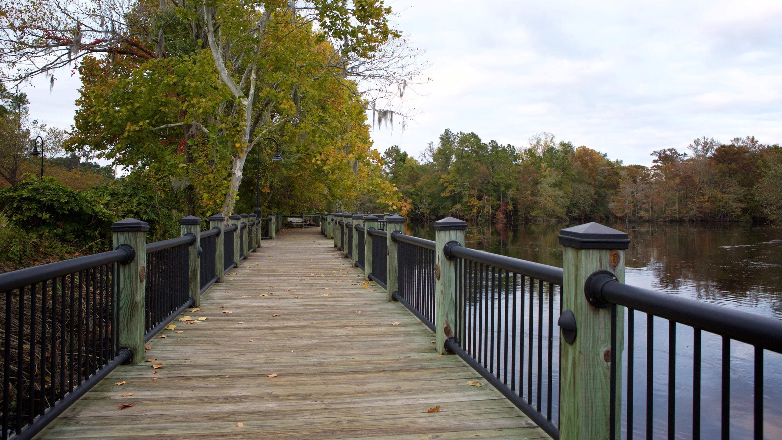 Conway Riverwalk Tours - Book Now | Expedia