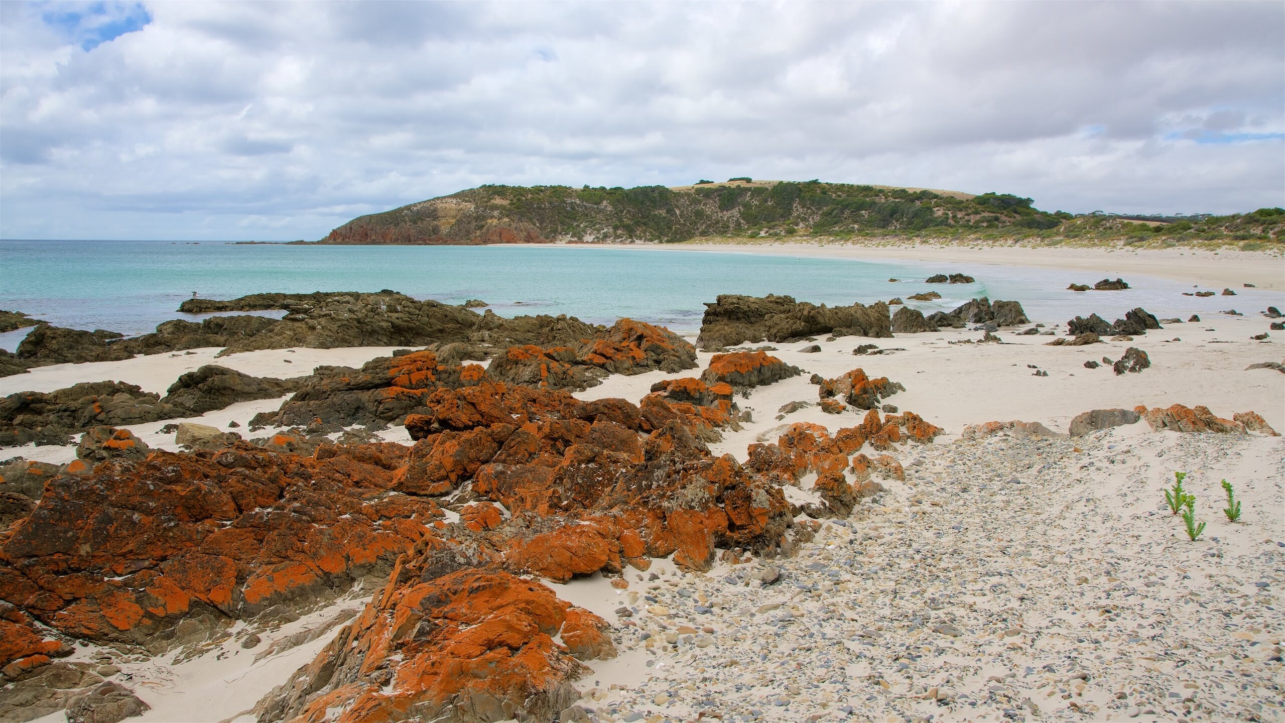 Isla Canguro turismo: Qué visitar en Isla Canguro, Australia Meridional ...