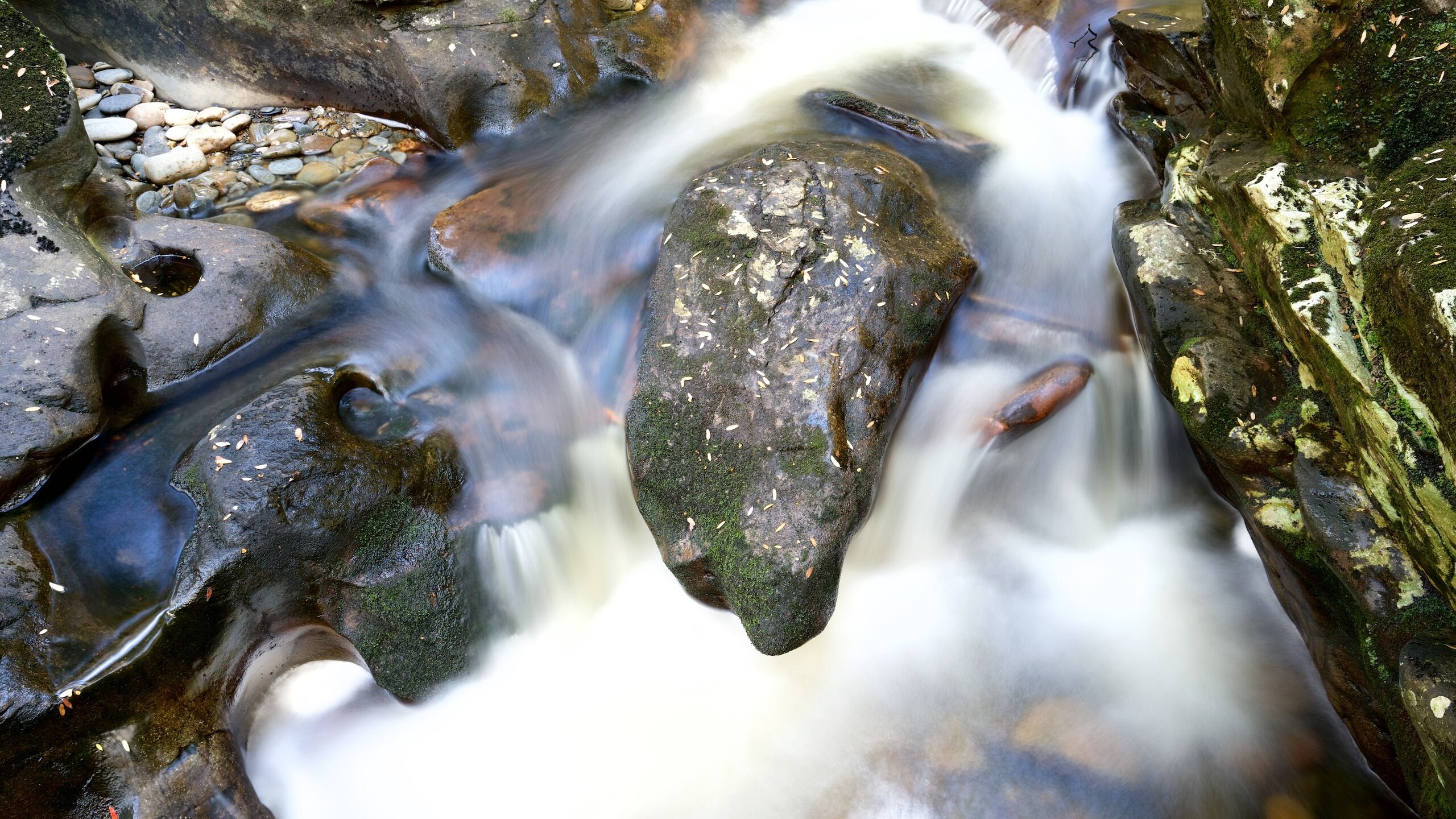 Enchanted Nature Walk Tours - Book Now | Expedia