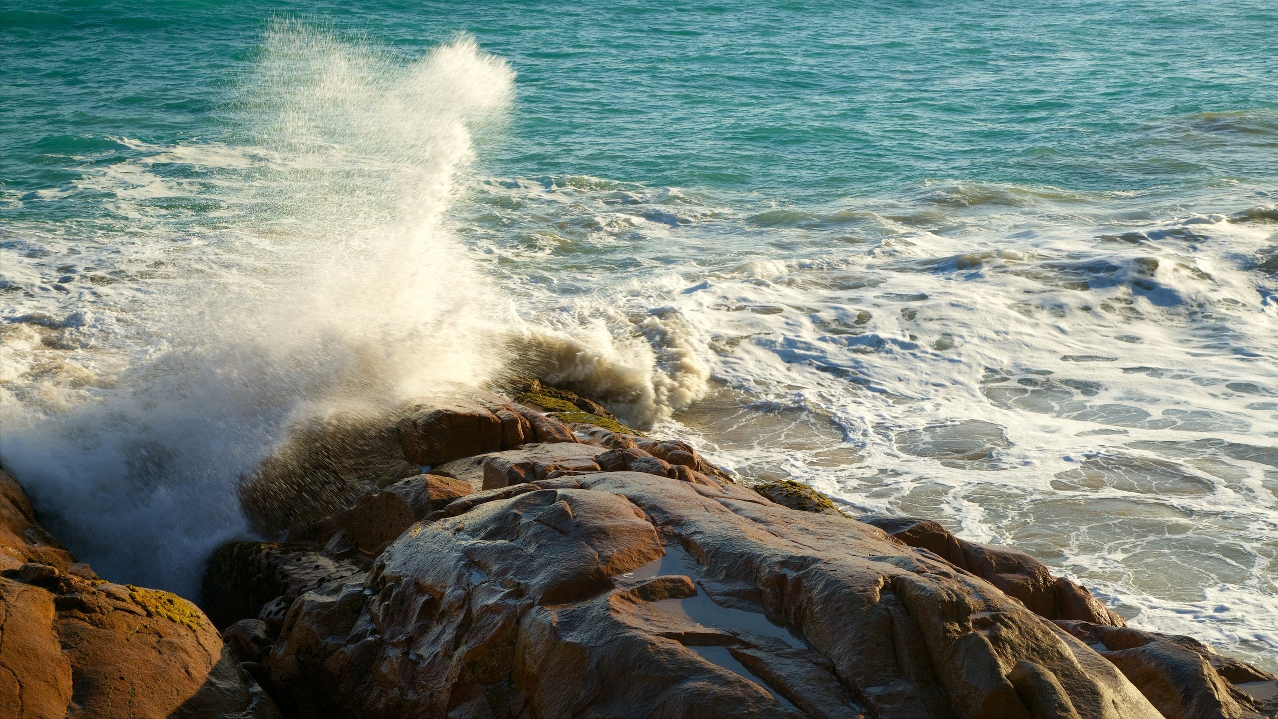 Knights Beach Tours - Book Now | Expedia