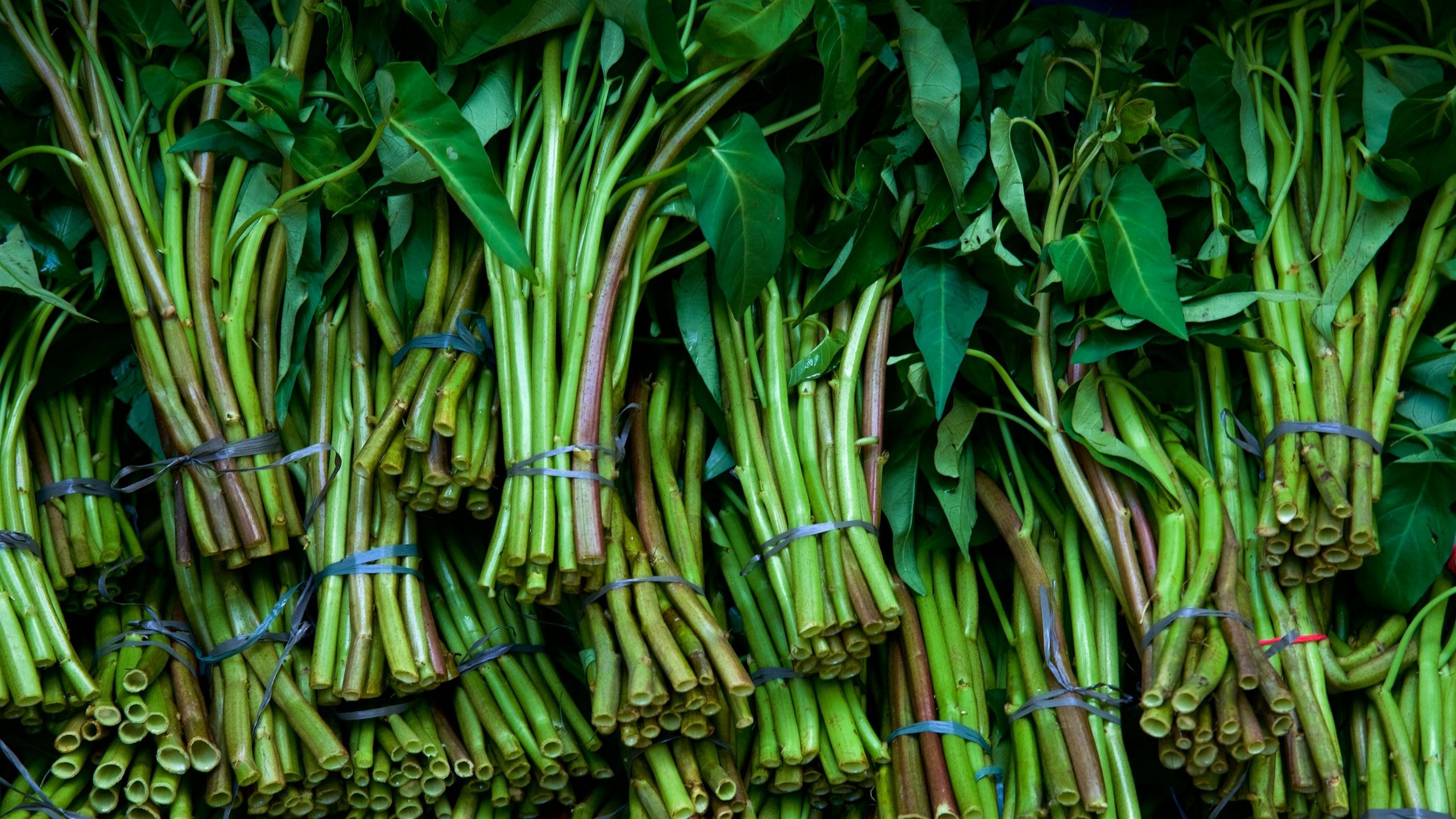 Talipapa Market, Boracay holiday rentals: villas & more | Vrbo