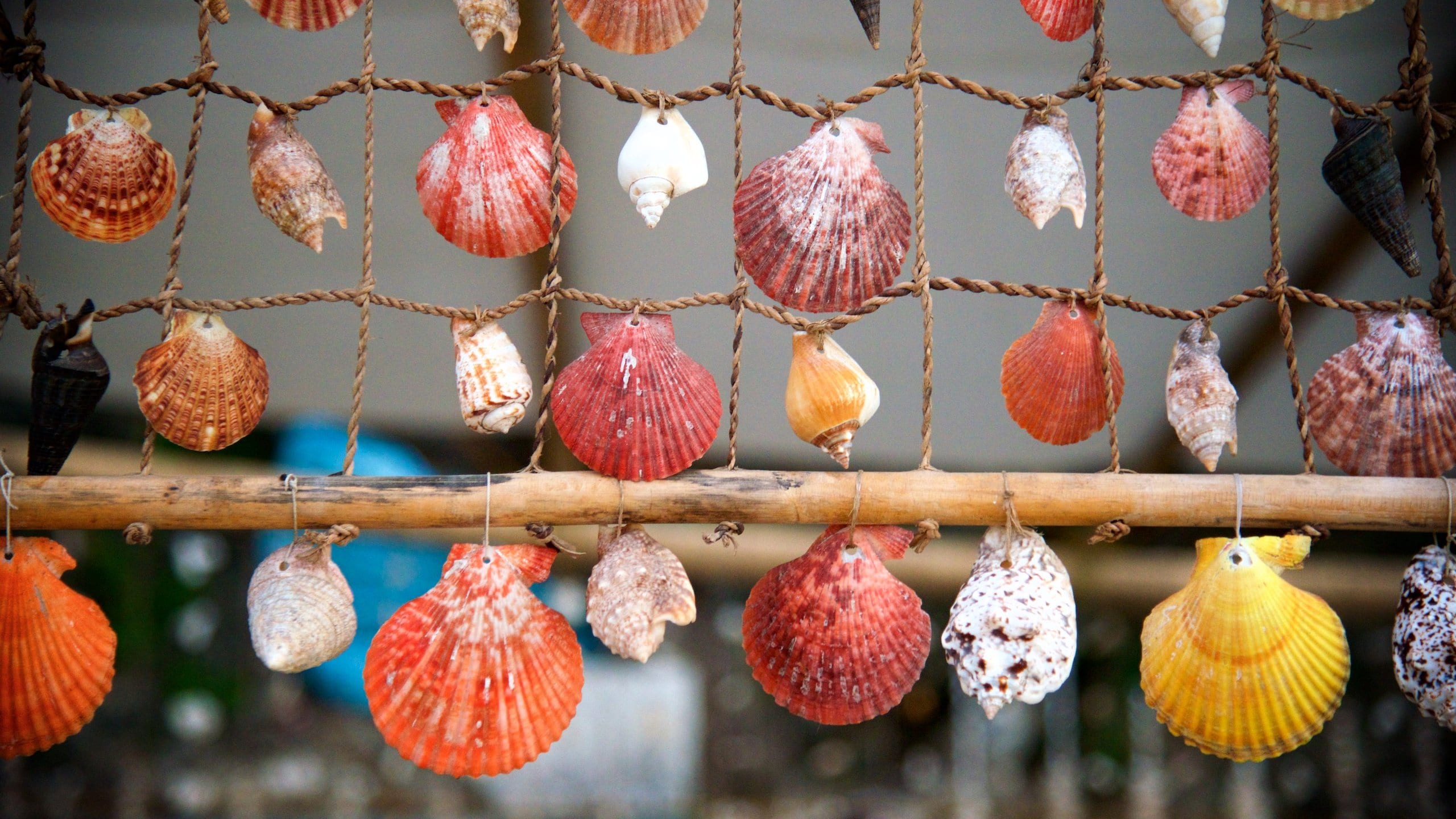 Visit Yapak: Best of Yapak, Boracay Island Travel 2023 | Expedia Tourism