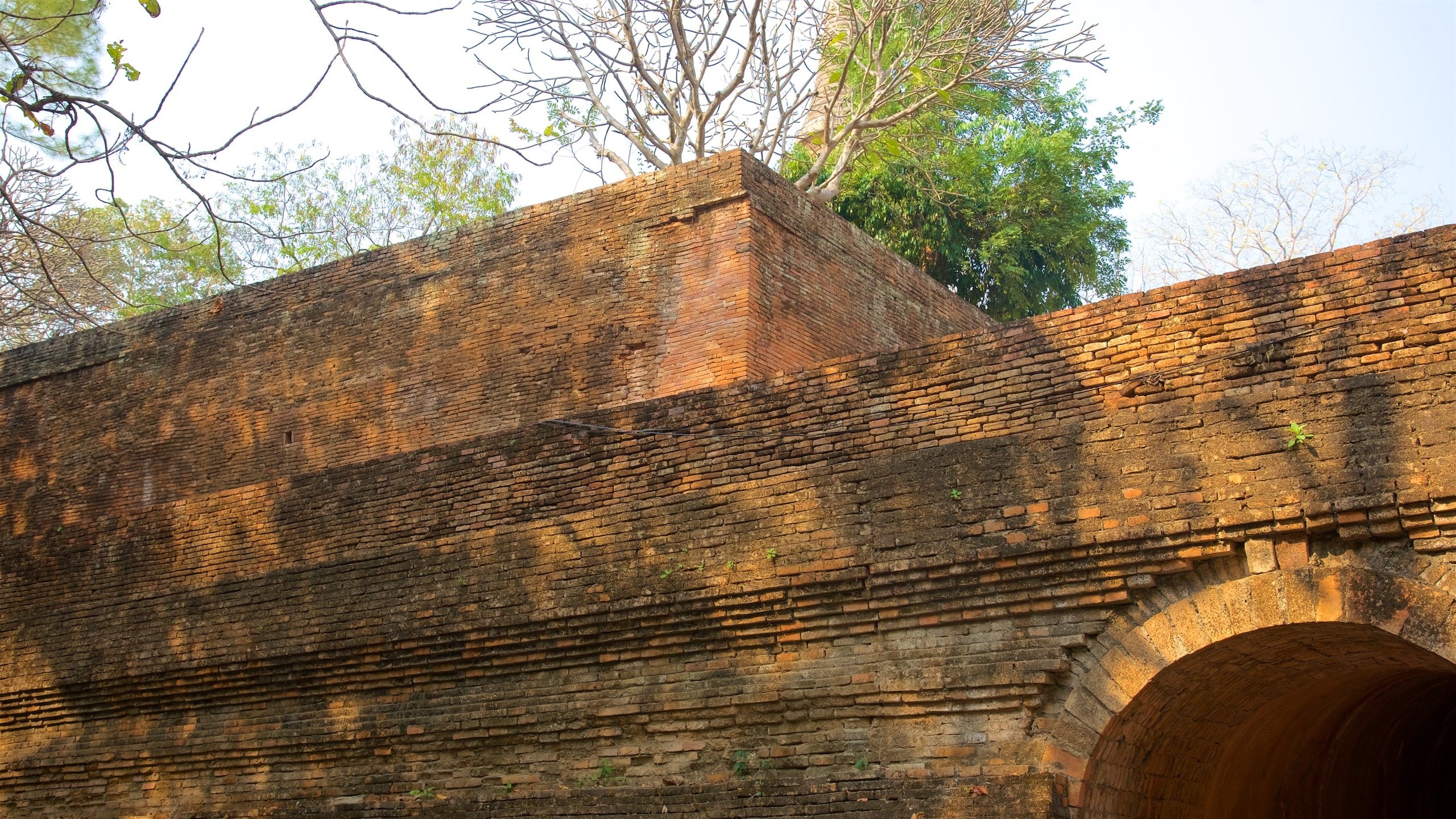 Wat Umong Suan Phutthatham Temple in Chiang Mai | Expedia.co.uk