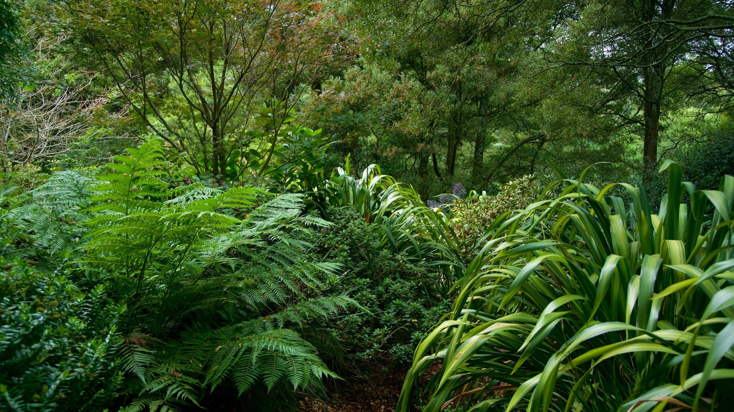 Mount Dandenong VIC AU Location De Vacances Partir De 84 nuit