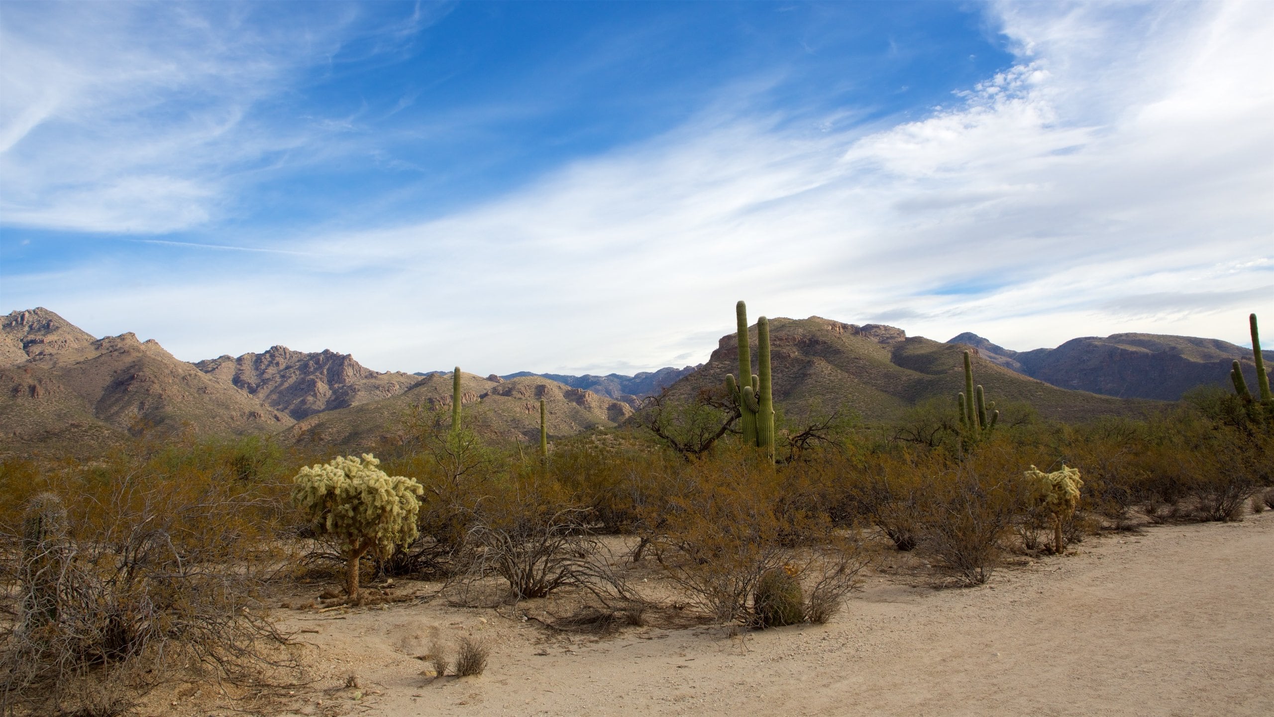 Coronado National Forest, US holiday accommodation: holiday houses ...