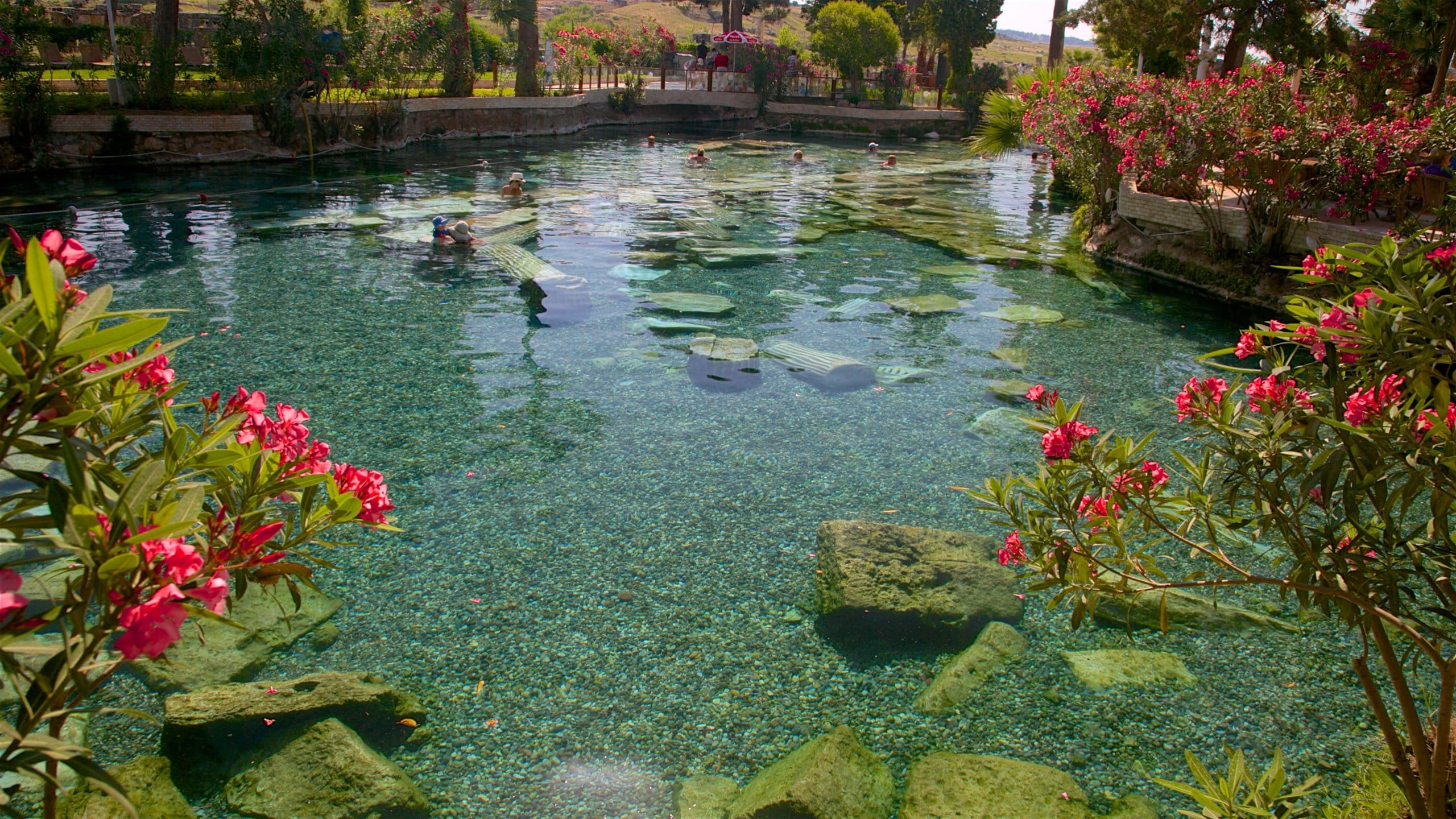 Antique Pool Pamukkale Turkey Pamukkale Hot Springs