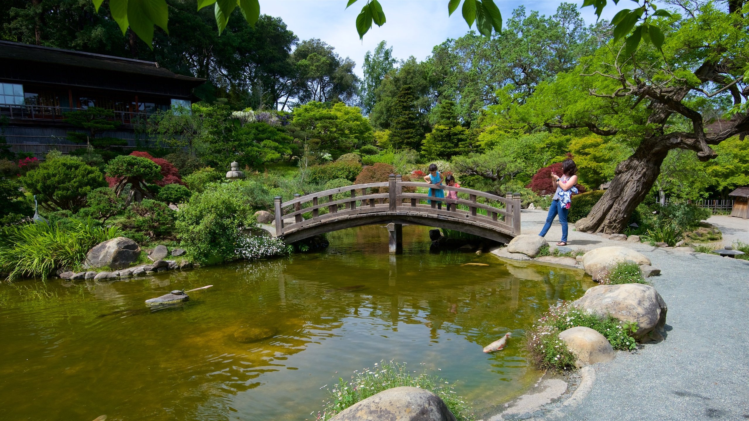 Sutter County, US holiday rentals: houses & more | Vrbo