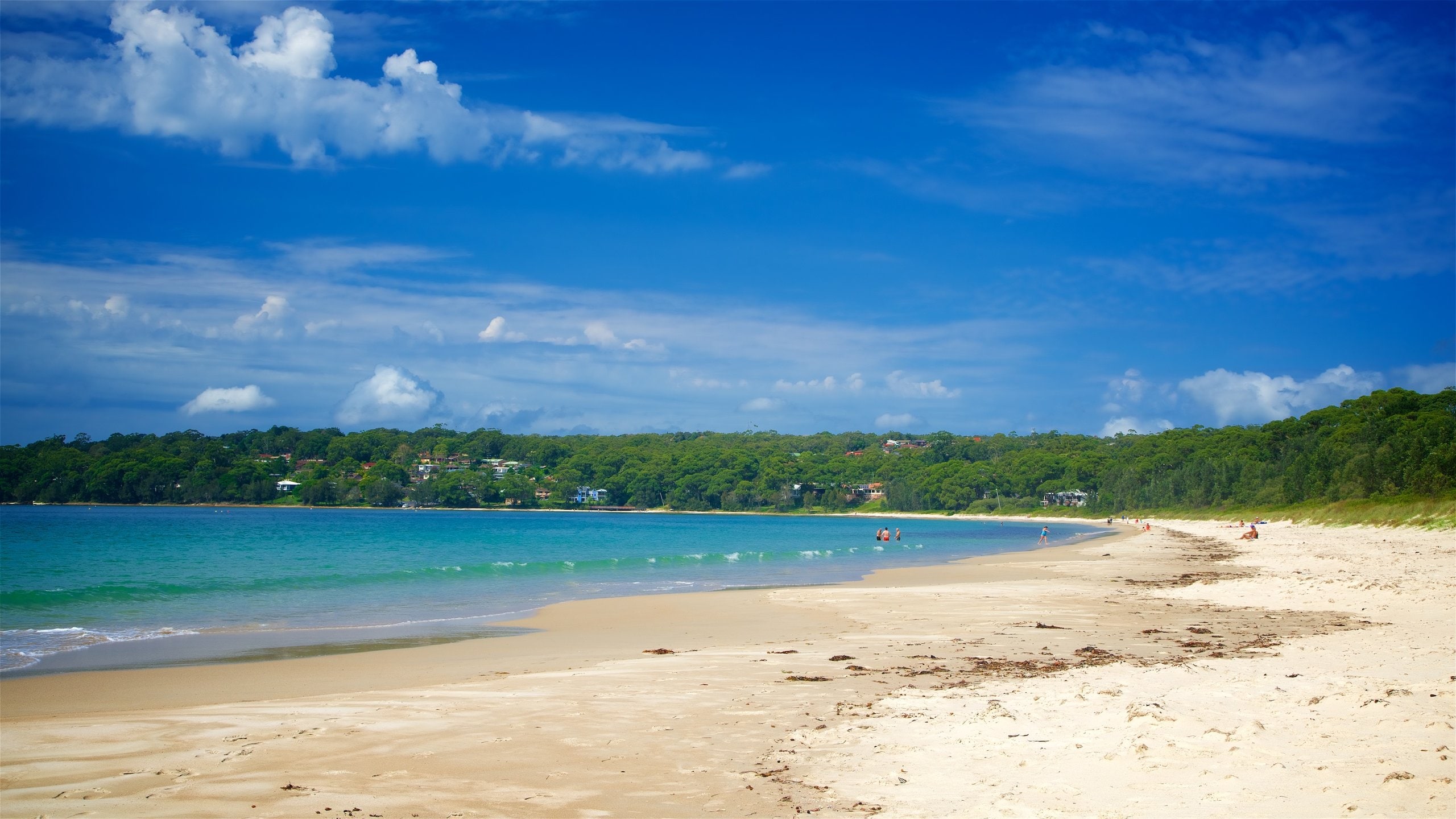 Vincentia Travel Guide 2024: The Best of Vincentia | Expedia